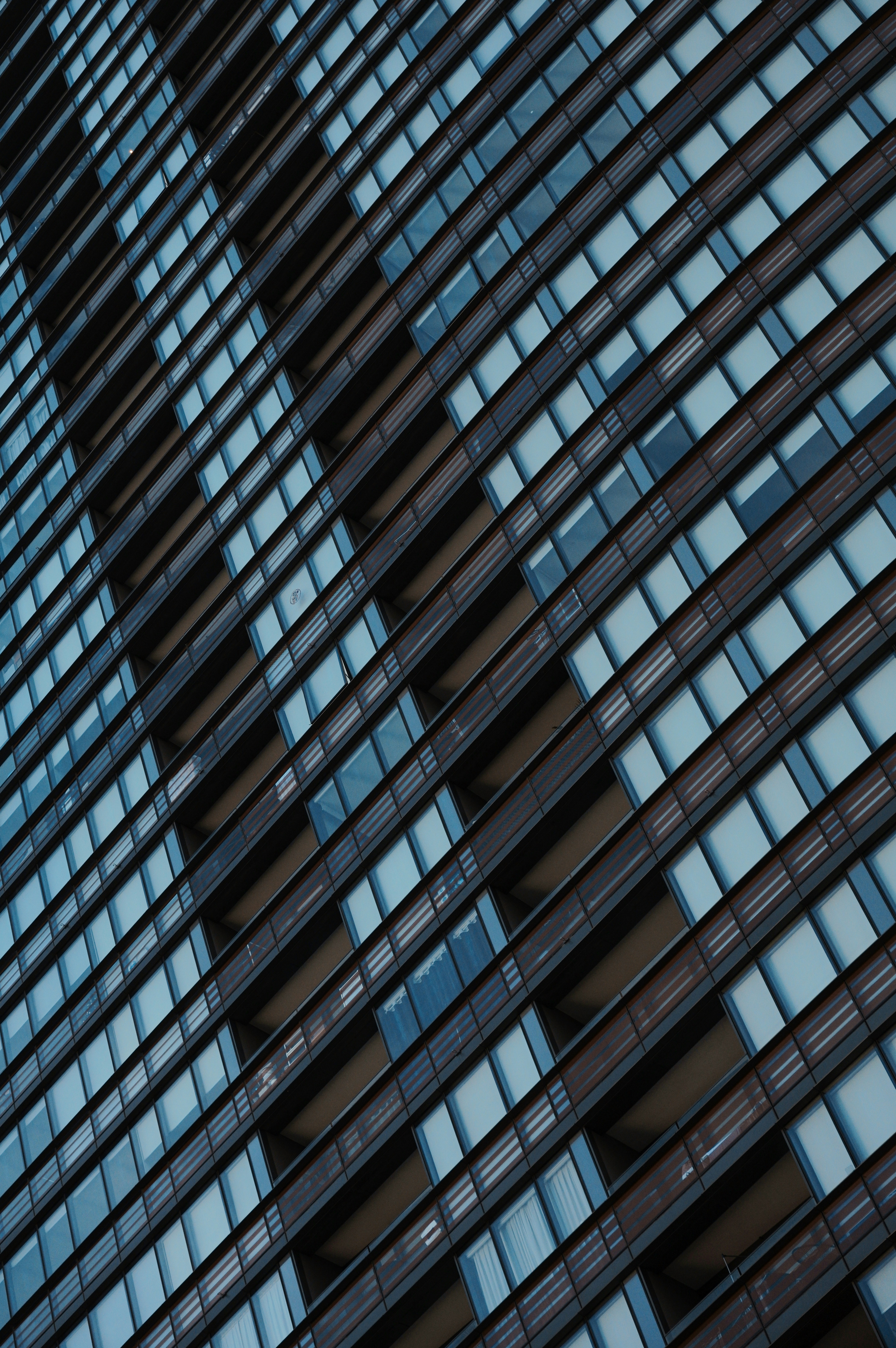 Diagonal Facade: A Grid of Quiet Steel and Glass