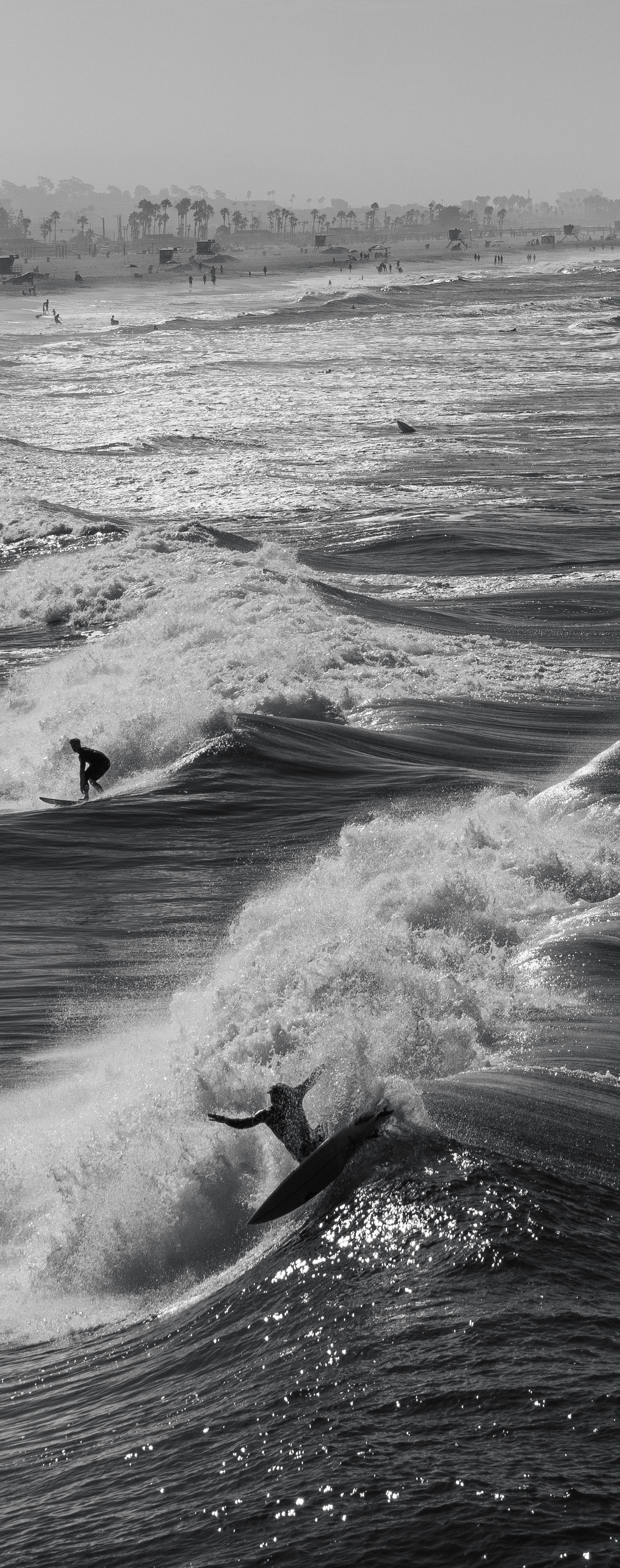 Surfer Bending into the Crest of a Giant Wave
