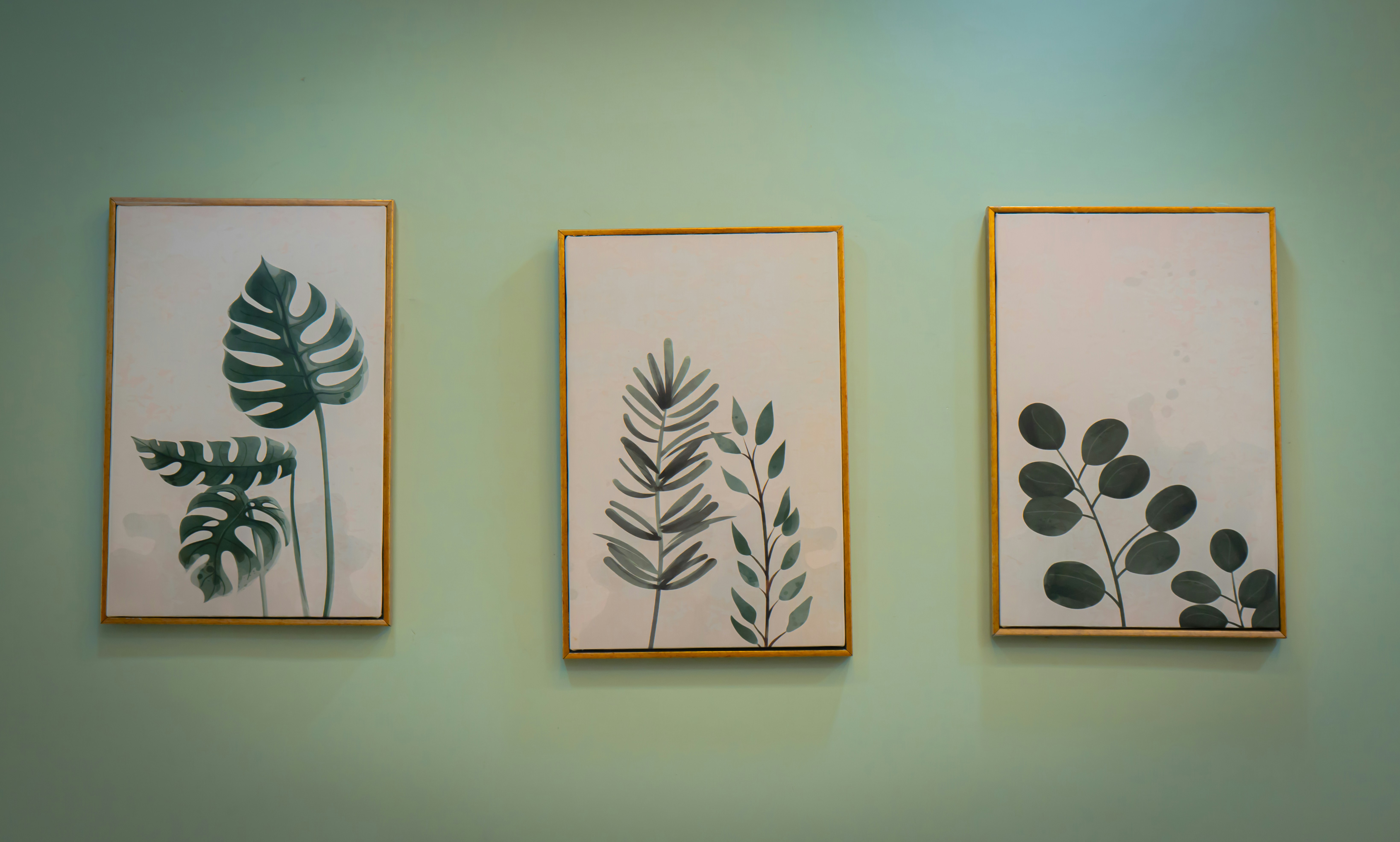 Triple Framed Foliage: A Modern Gallery of Botanical Minimalism