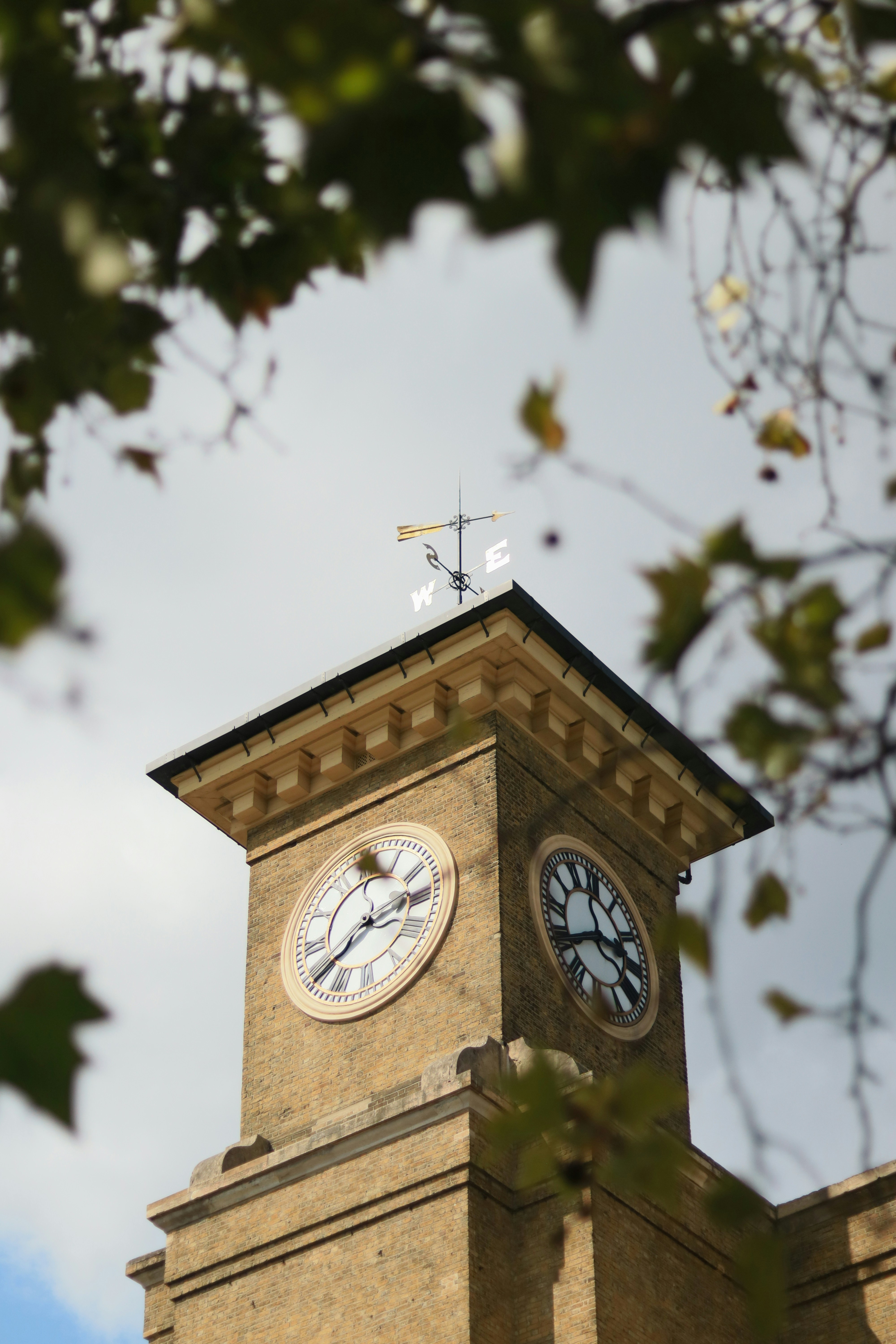 Clocktower in Focus: Time Ticks Through Leaves and Sky