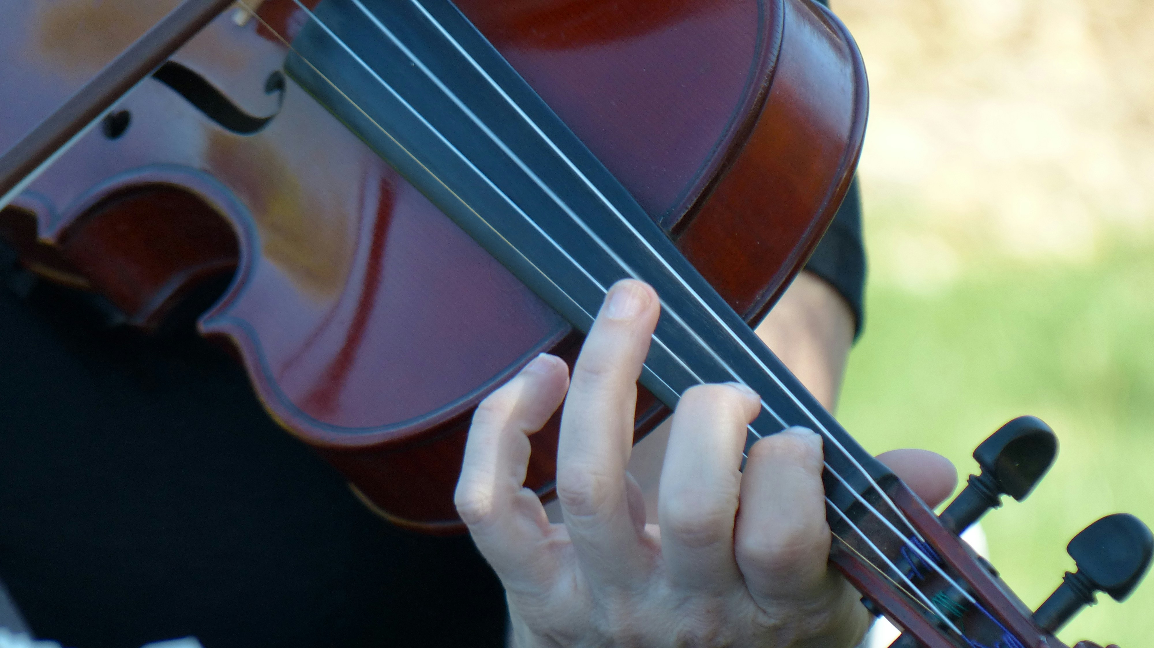 Strings in Focus: A Violinist’s Intimate Hand Position