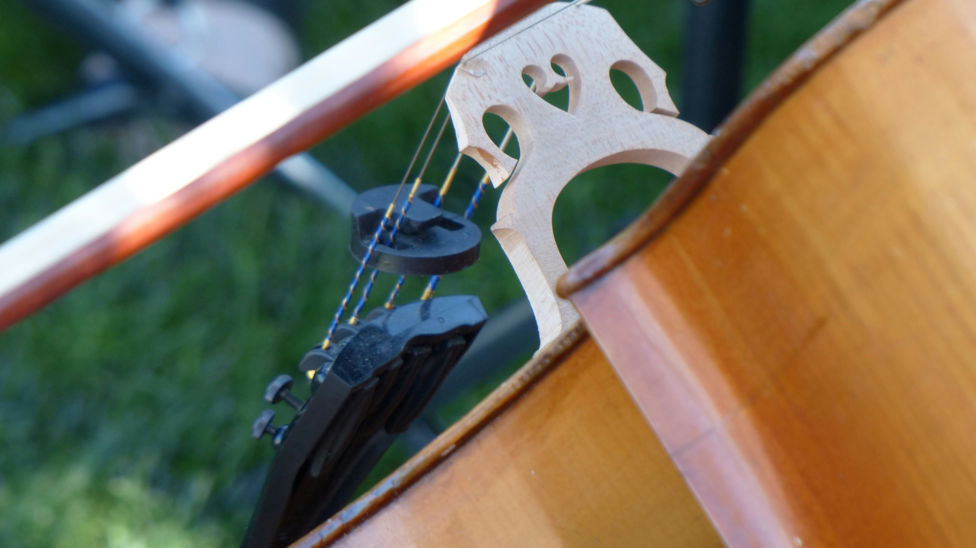Strings and Bridge: A Close-Up of a Classical Bow Fine-Tuned at the Bridge