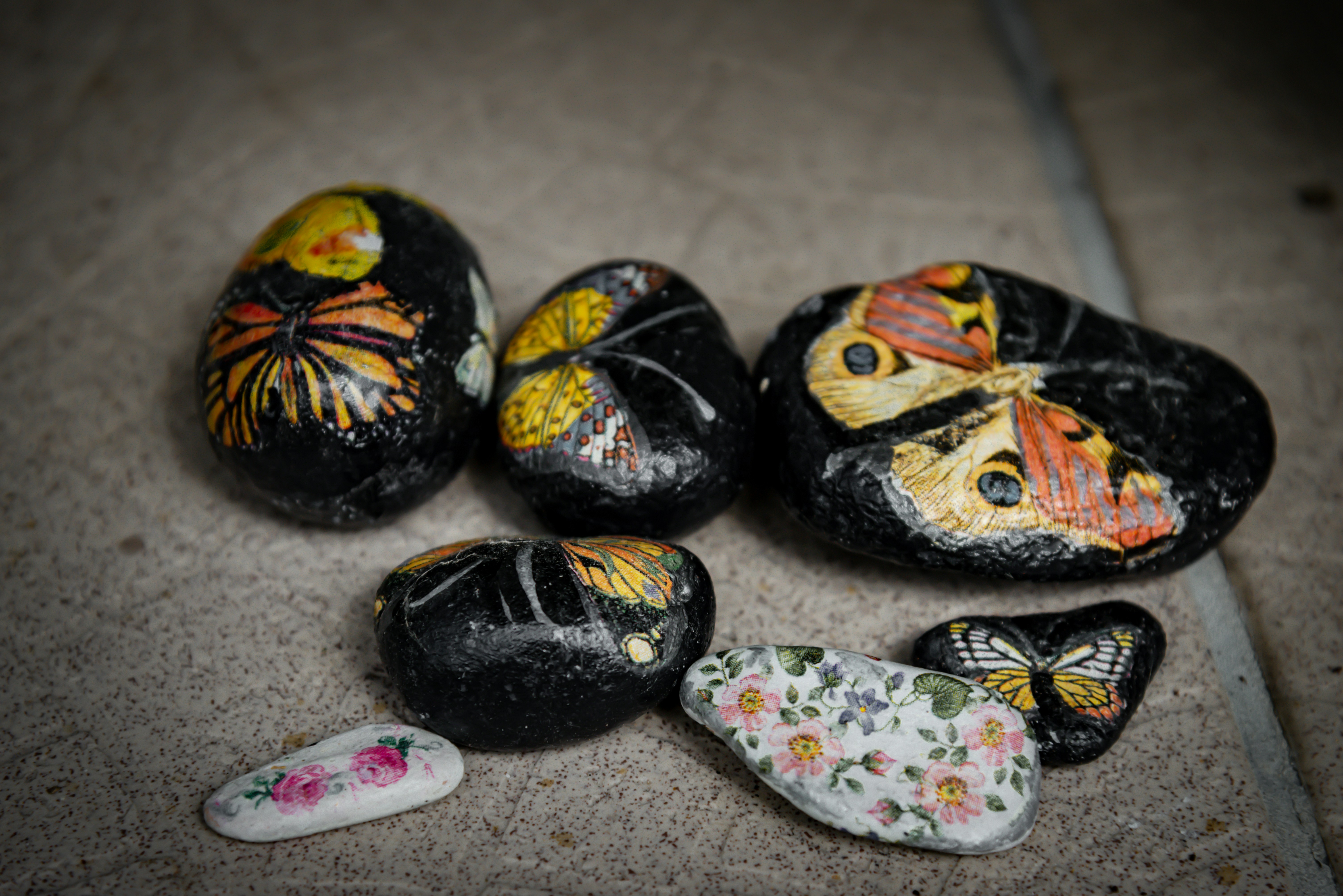 Butterfly Stones: Painted Pebbles Resting on a Concrete Surface