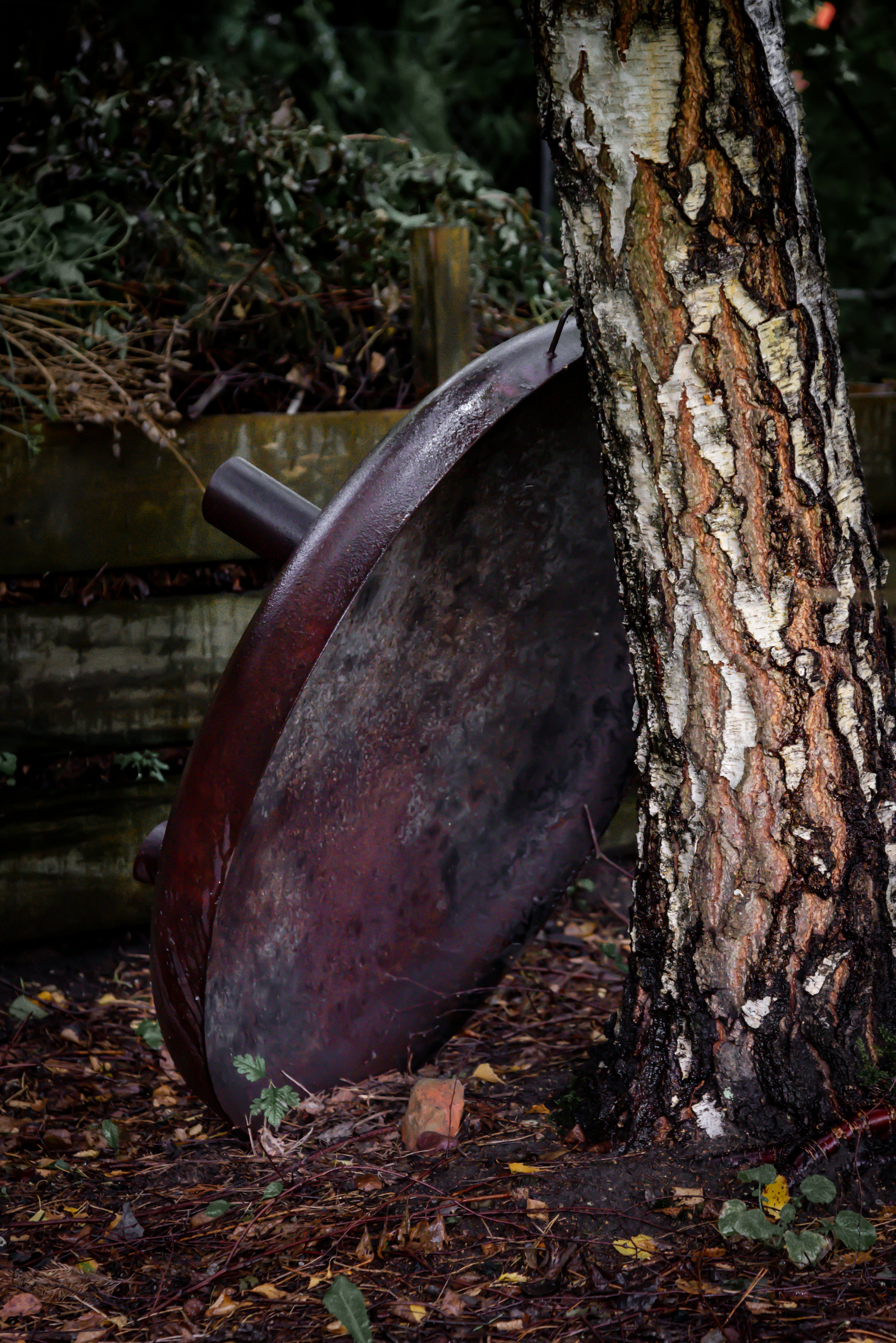 Hidden Grill Veil: An Old Branded Lid Leaning Against a Tree