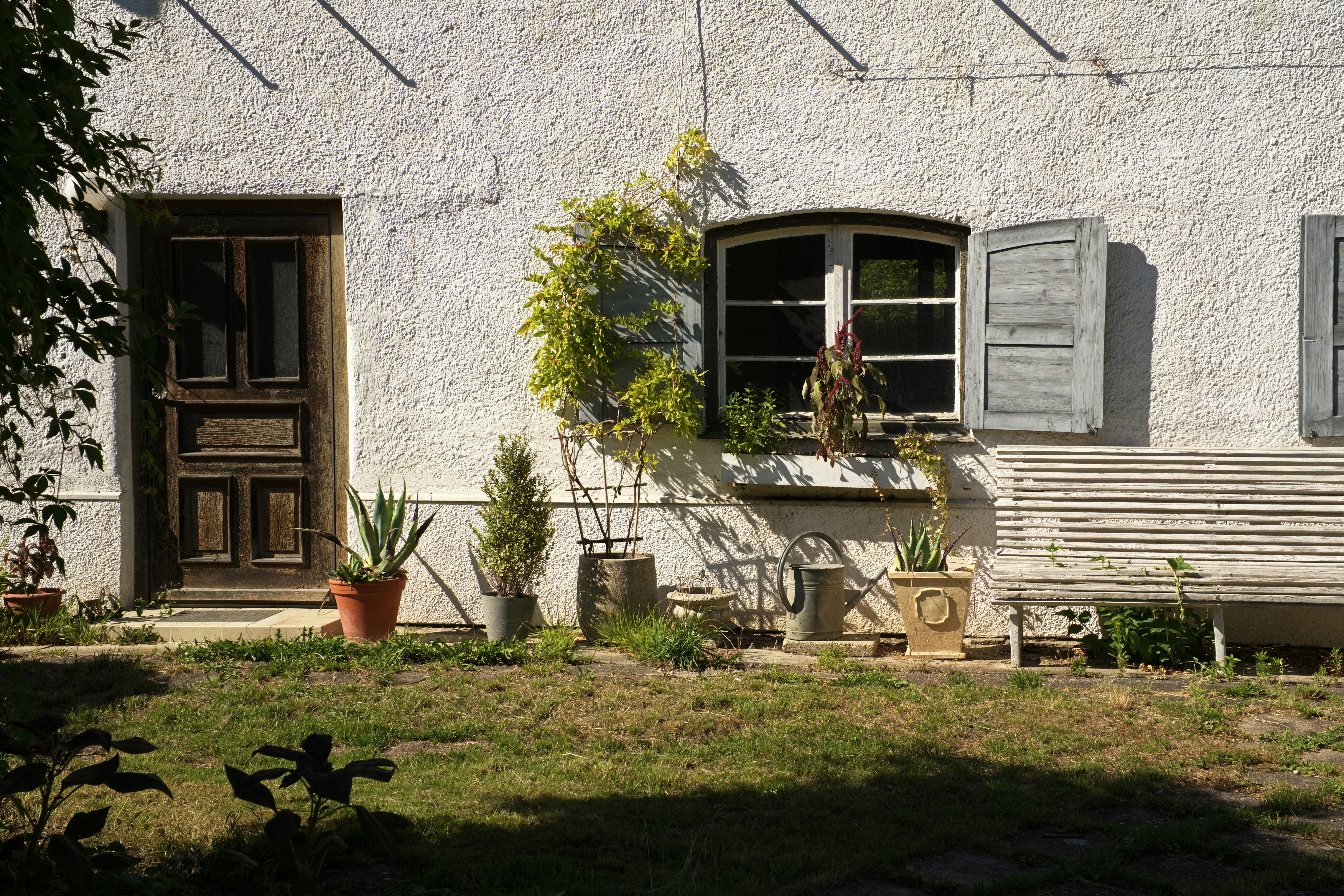Sunlit Cottage Façade: A Quiet Garden in Bloom