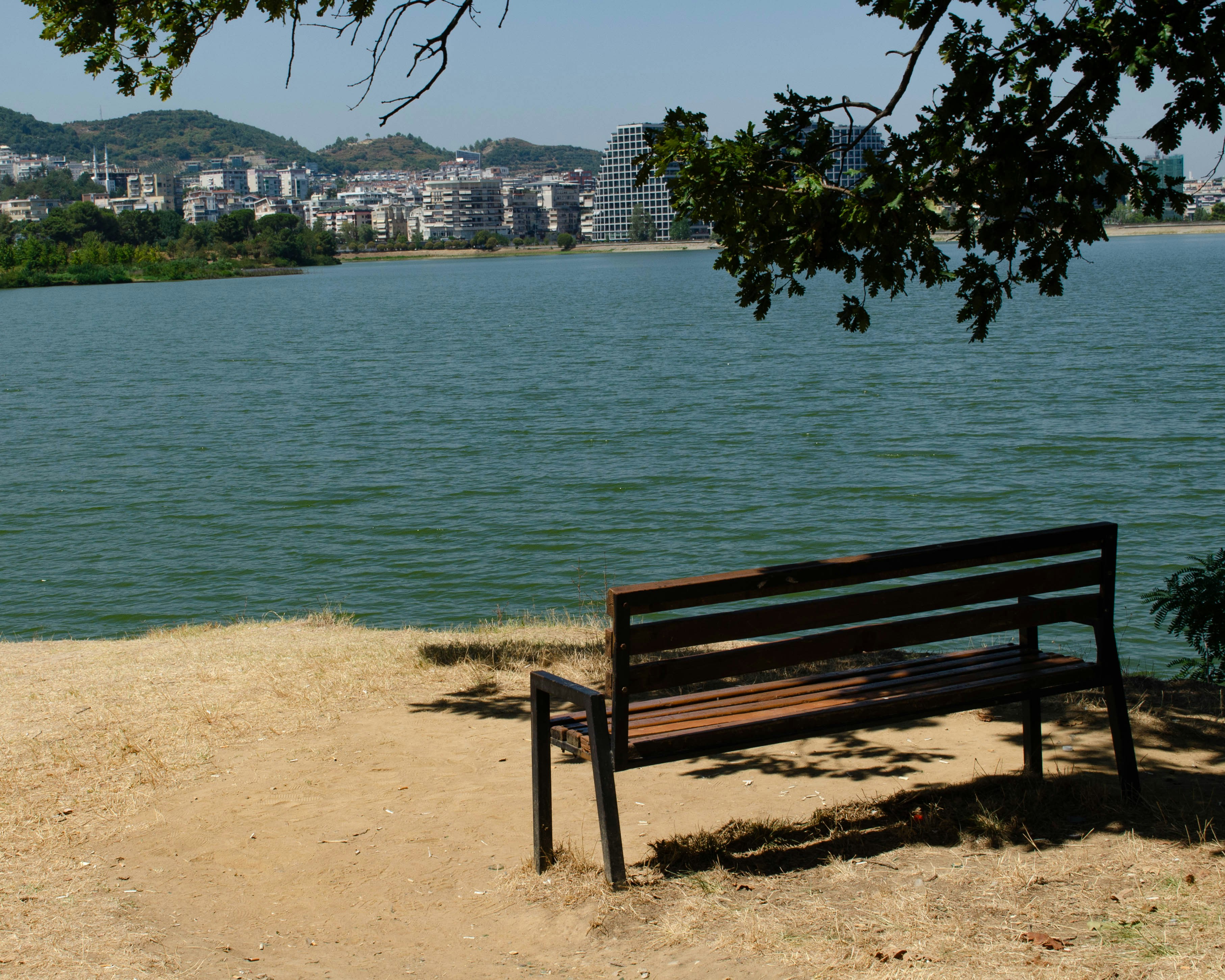 Solitary Bench Overlooking a Quiet Lake Amid Urban Backdrop