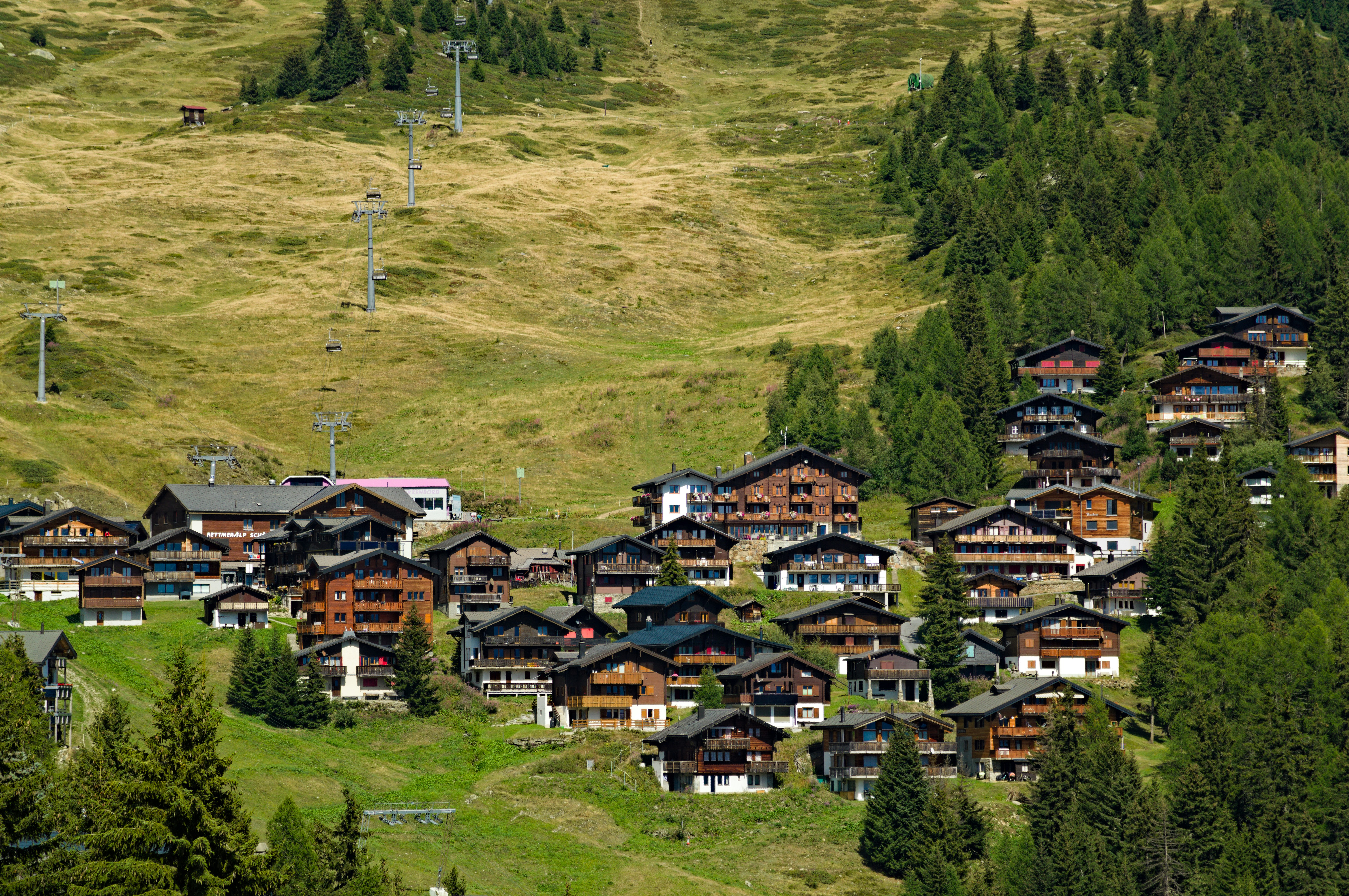 Cluster of chalet-style houses on a green hillside with pine trees and a chairlift in the backdrop.