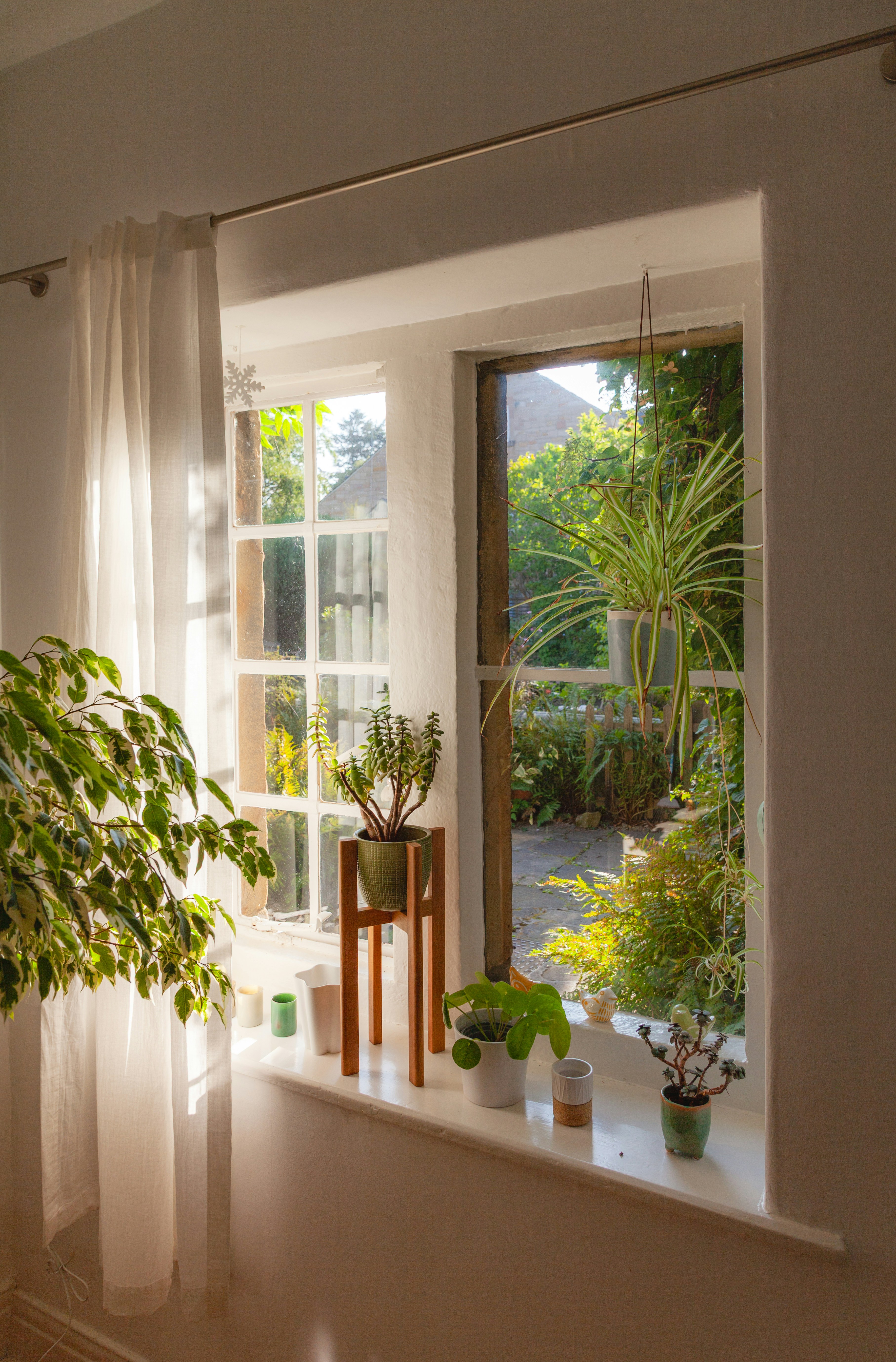Sunlit windowsill with assorted potted plants bathed in warm light visible through a large window opening.