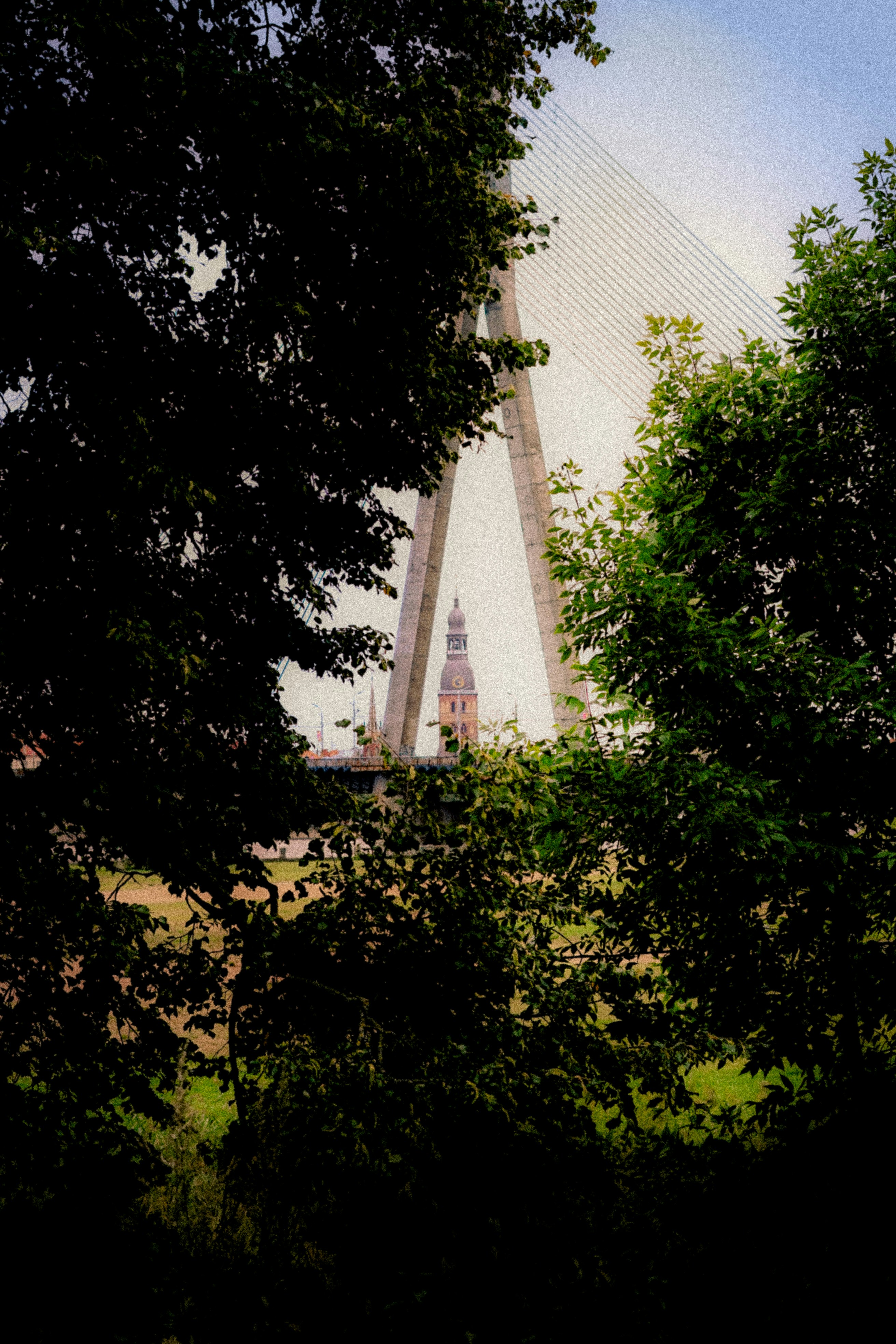 Tower Peeking Through the Green Framing