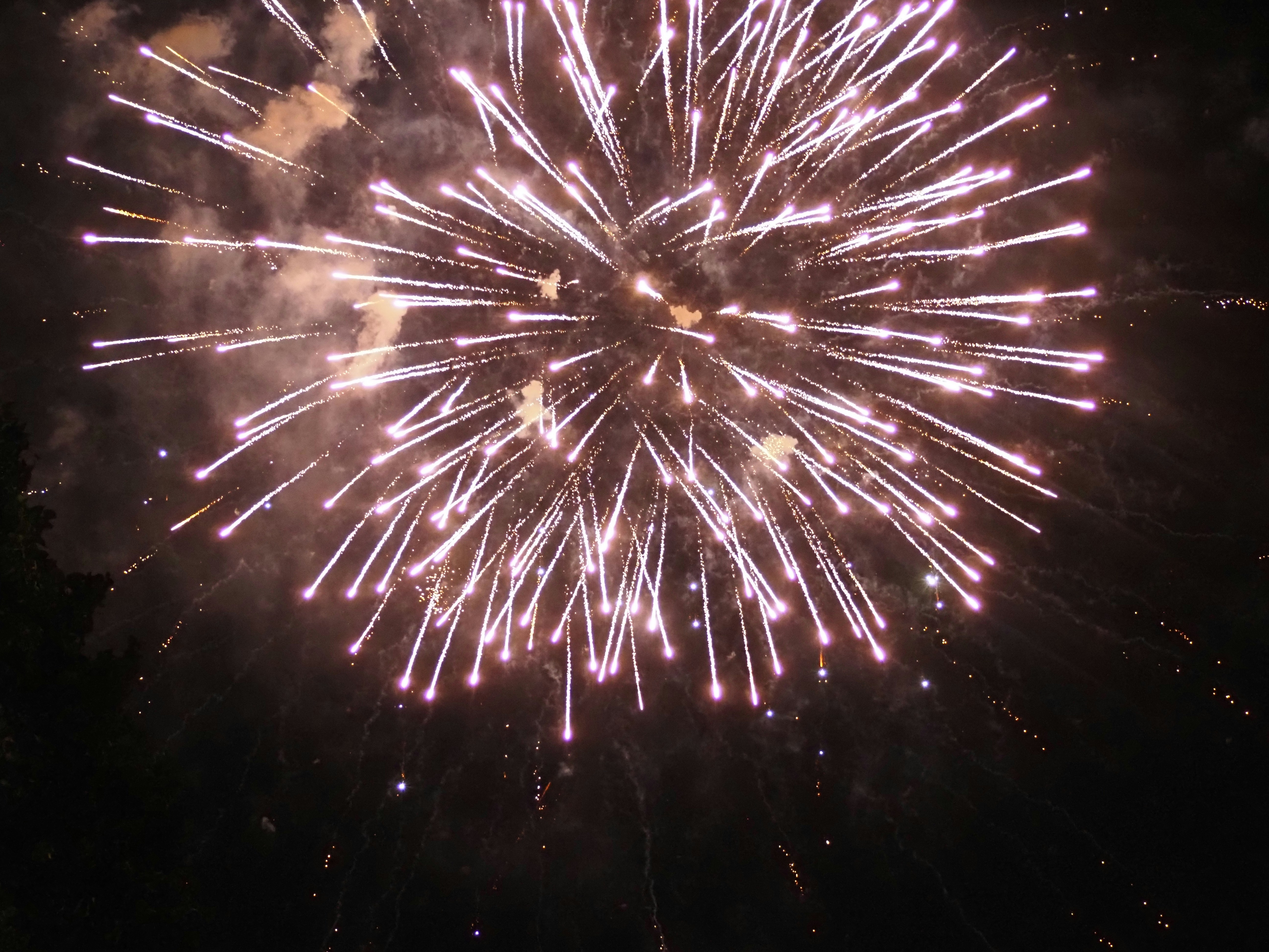 Bursting Night: Firework Crown Over a Dark Sky