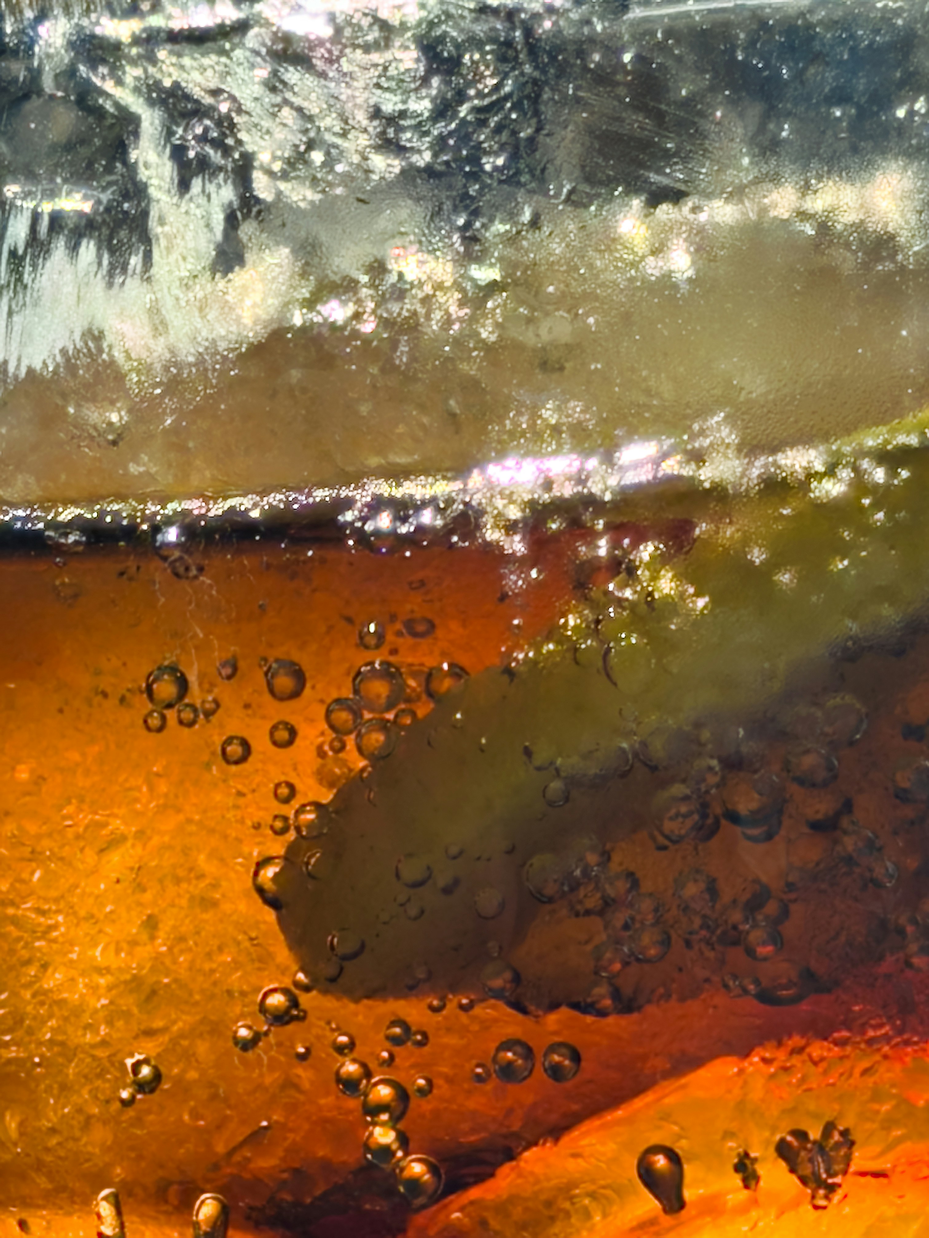 Citrus Absorption: Bubbles and Ember in Liquid Light