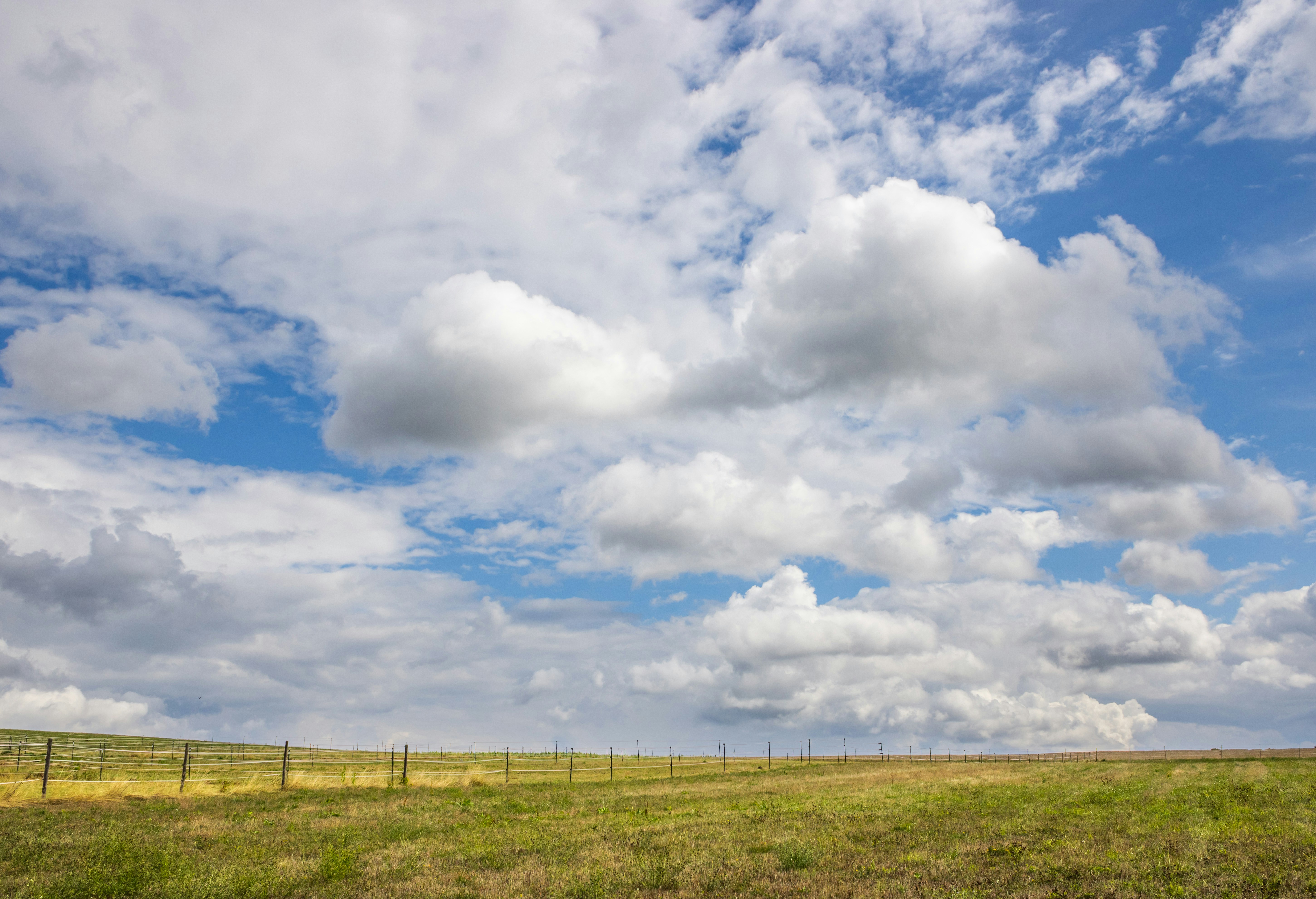 Open Sky Over Fenced Field: A Quiet Prairie Under Puffy Clouds