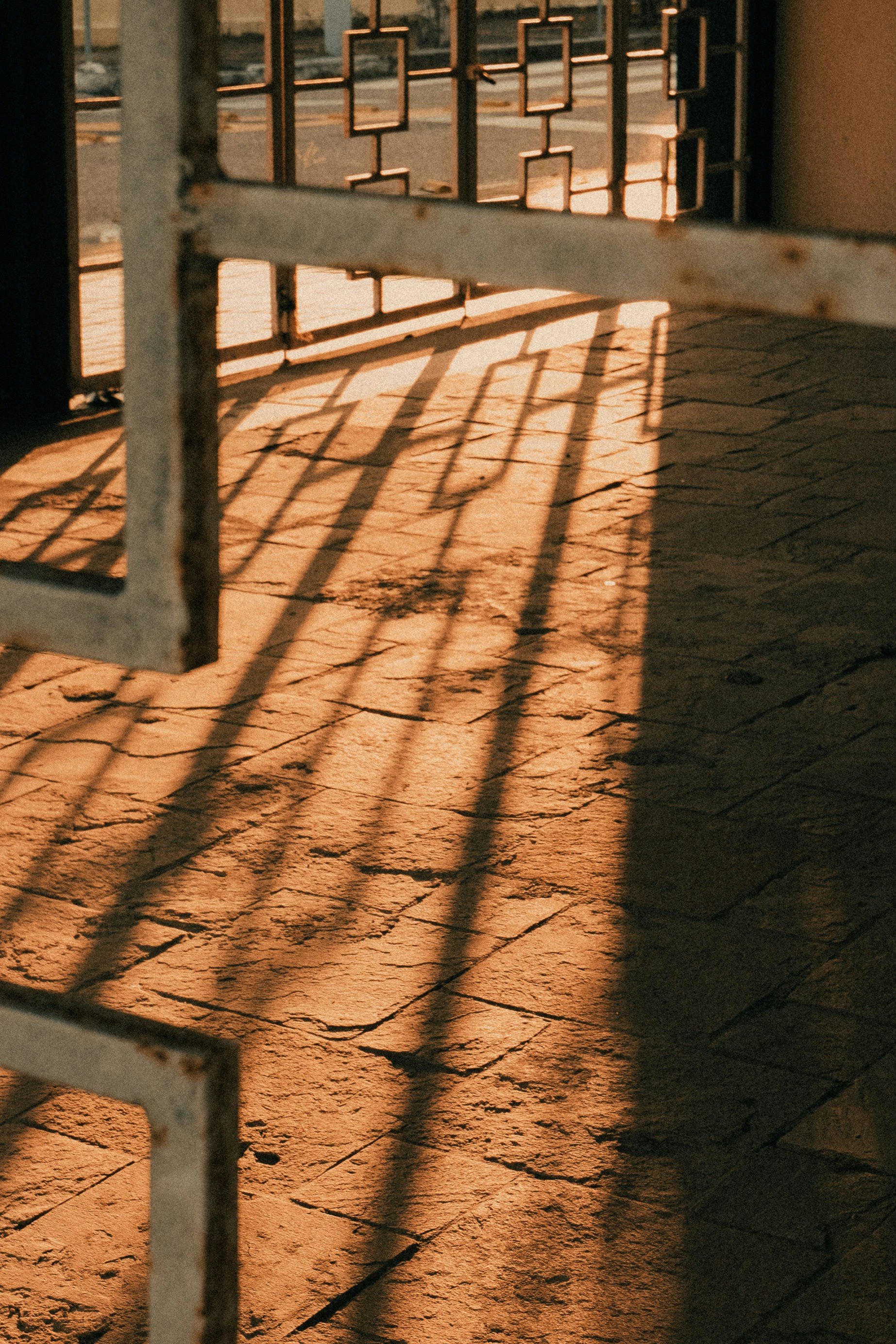 Shadows Cast by a Wrought-Iron Gate in Warm Afternoon Light