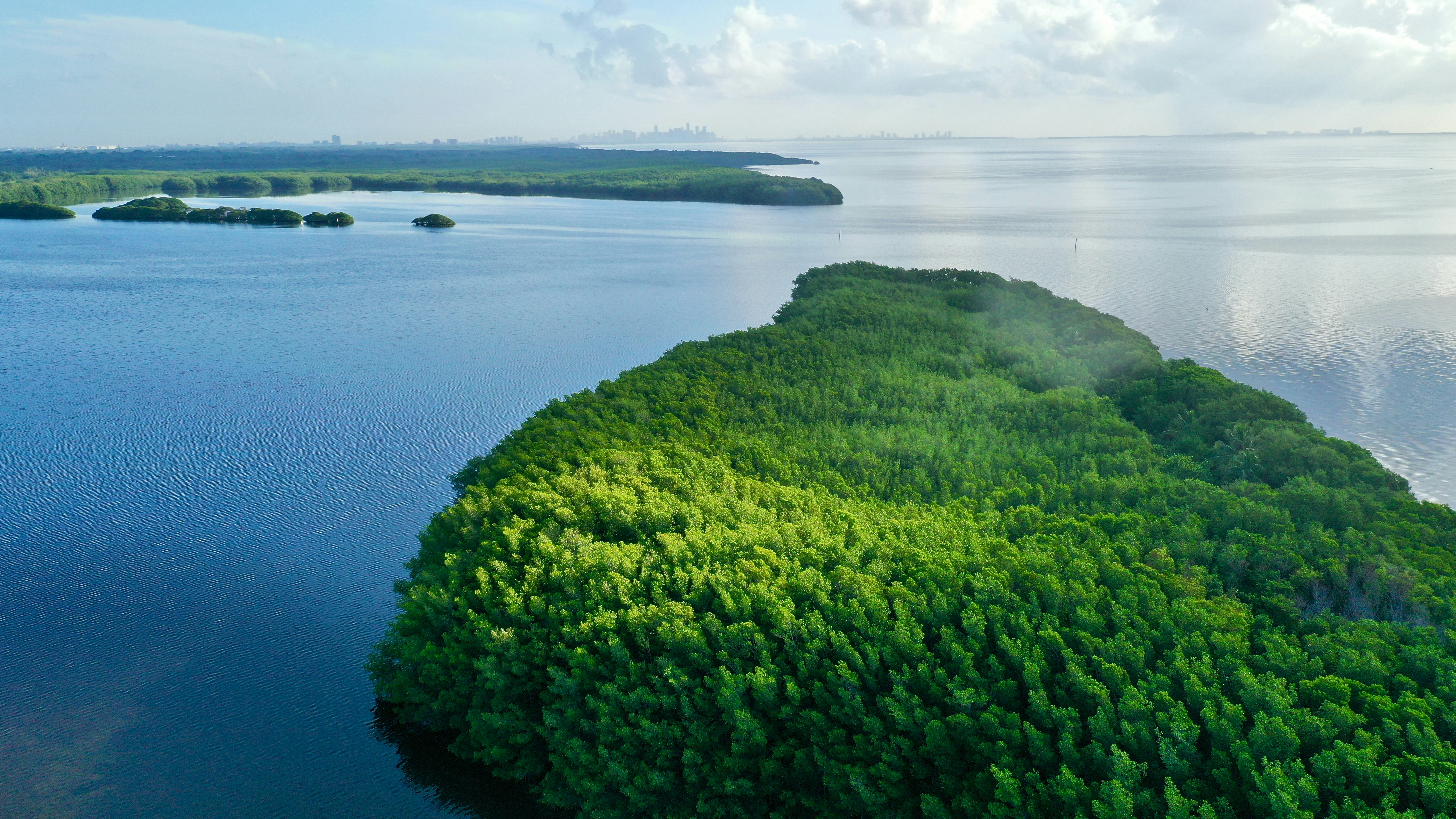 Mangrove Tidal Ribbon: Aerial Sweep Over Quiet Delta