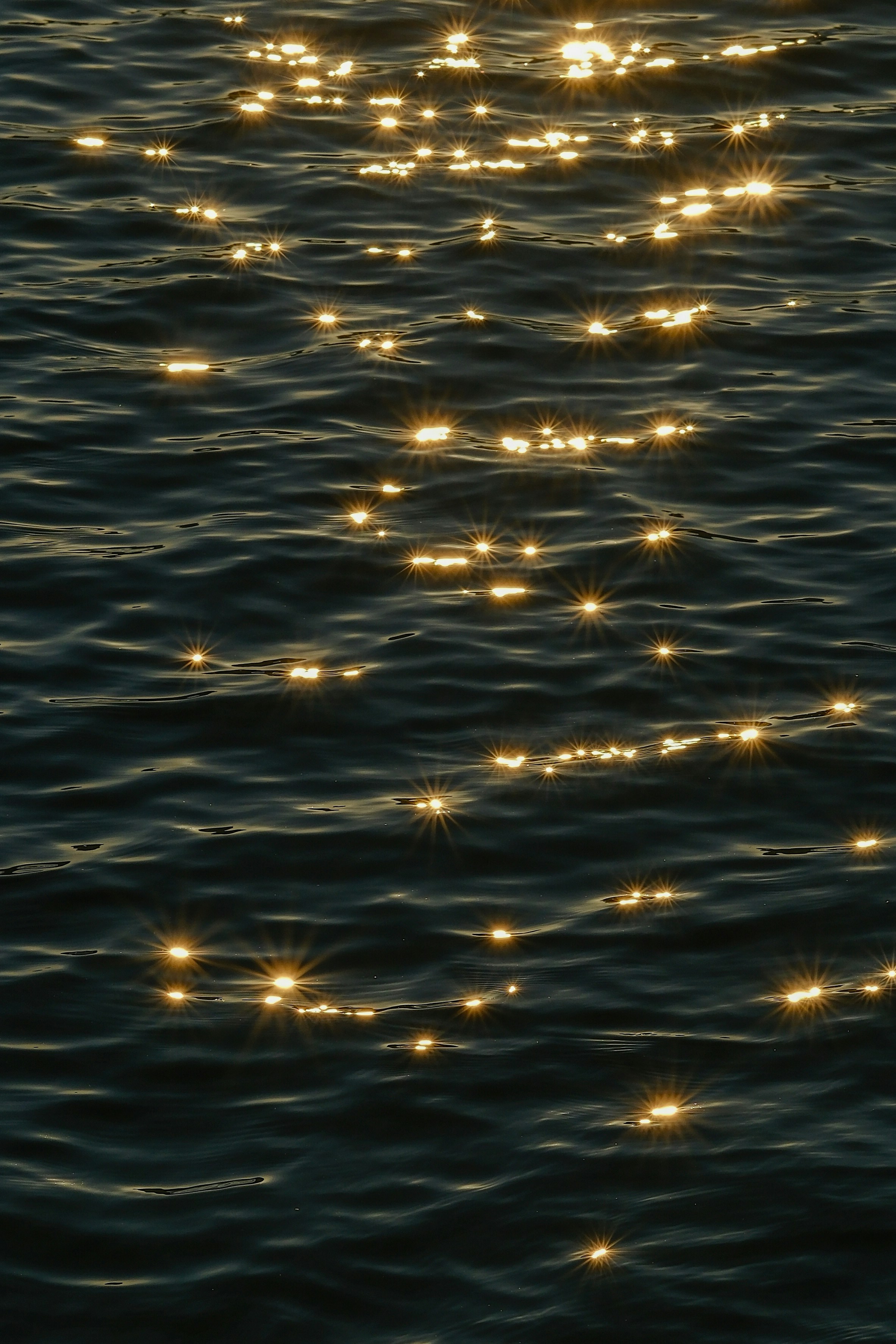 Gilded Ripples: Sunlit Glints on Quiet Sea