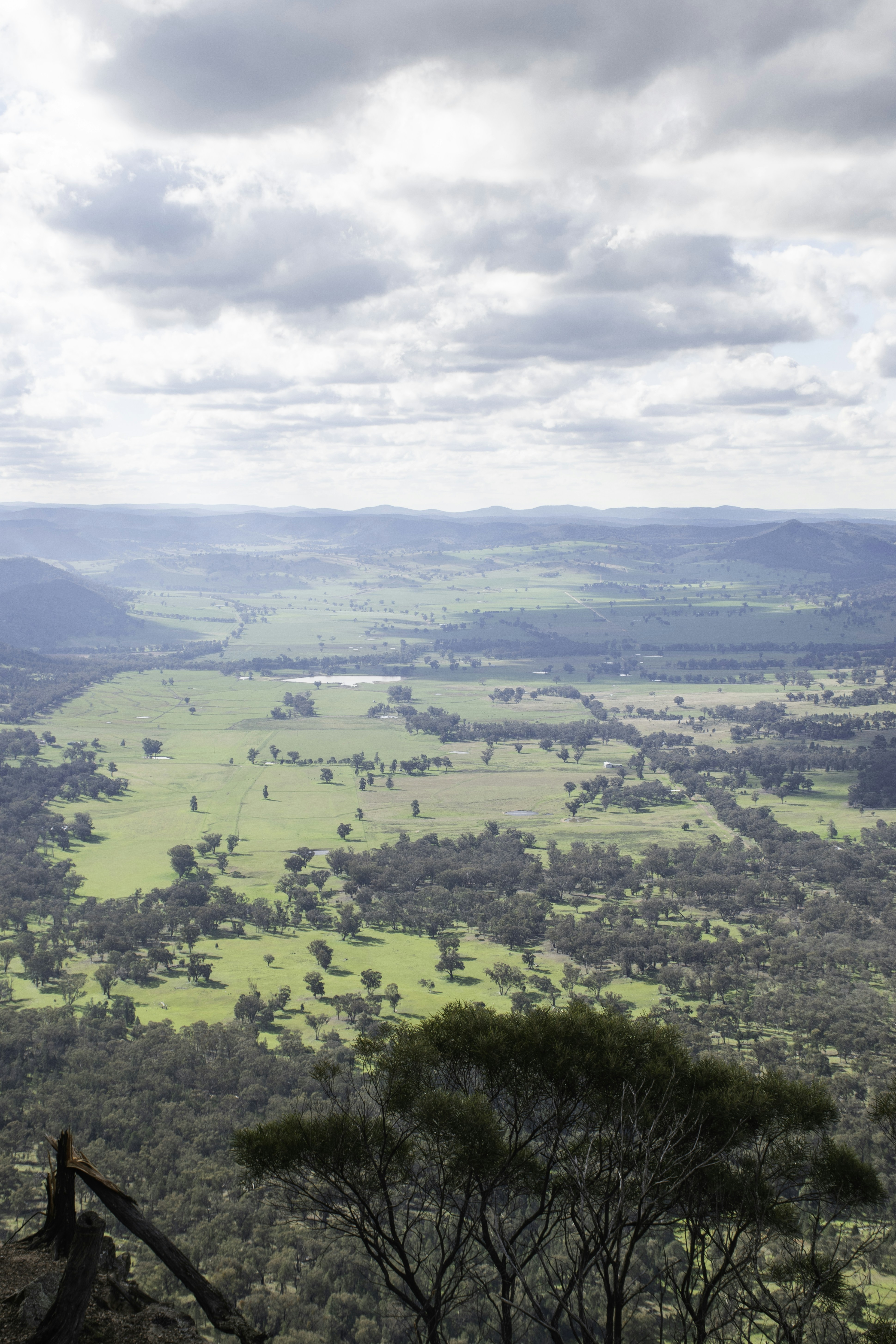 Aerial Vignette: Rolling Greens Beneath Cloud-dusted Sky
