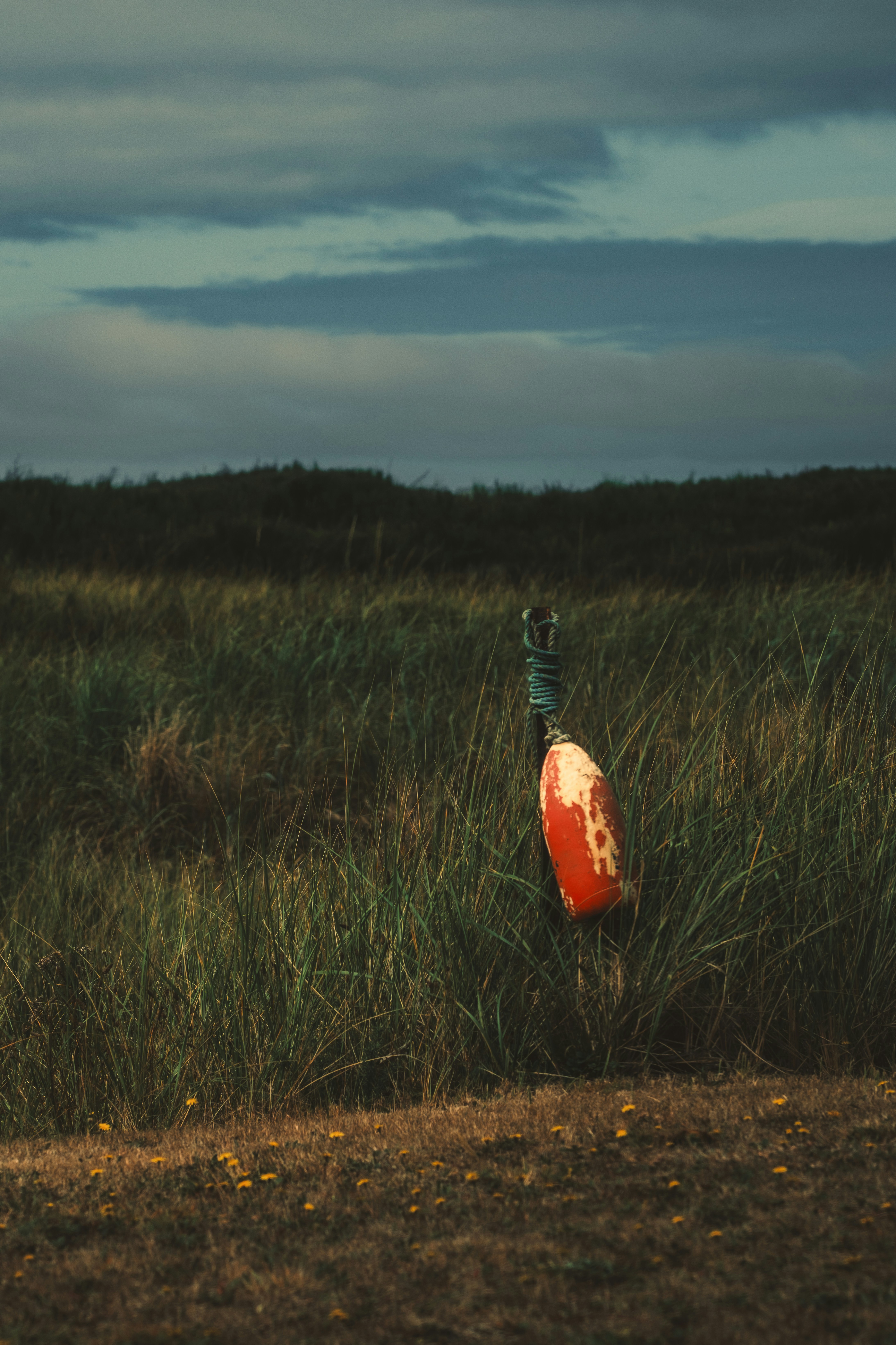 Red Buoy in Grassland Dunes at Dusk