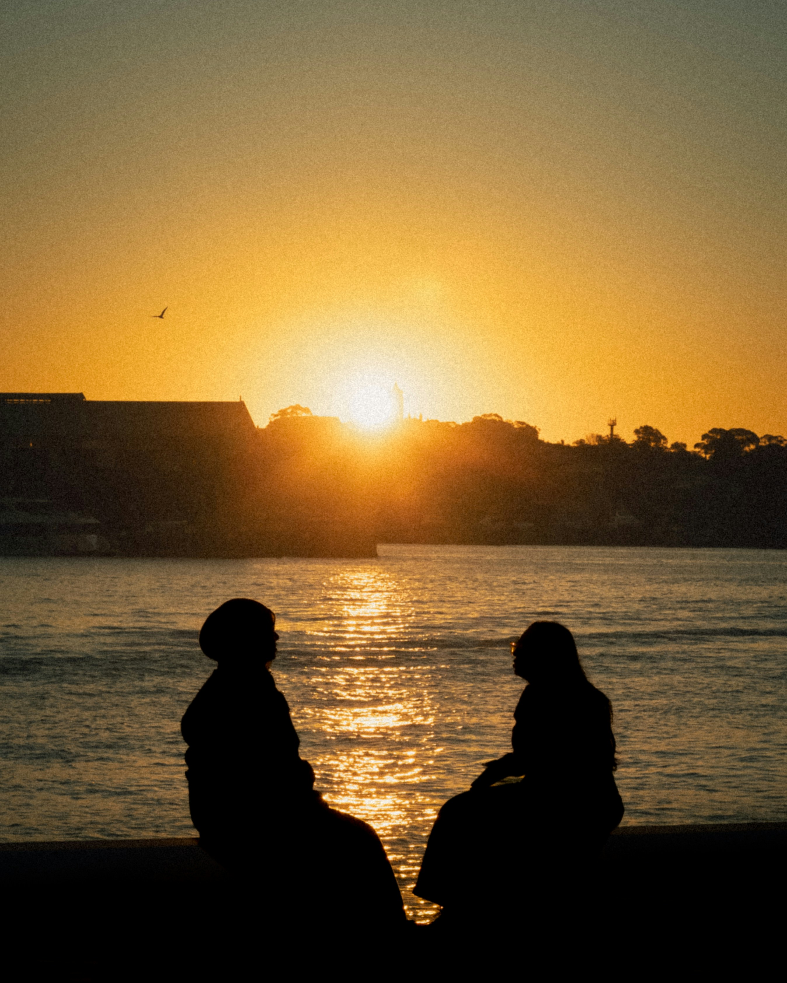 Sunlit Silhouettes by the Riverside