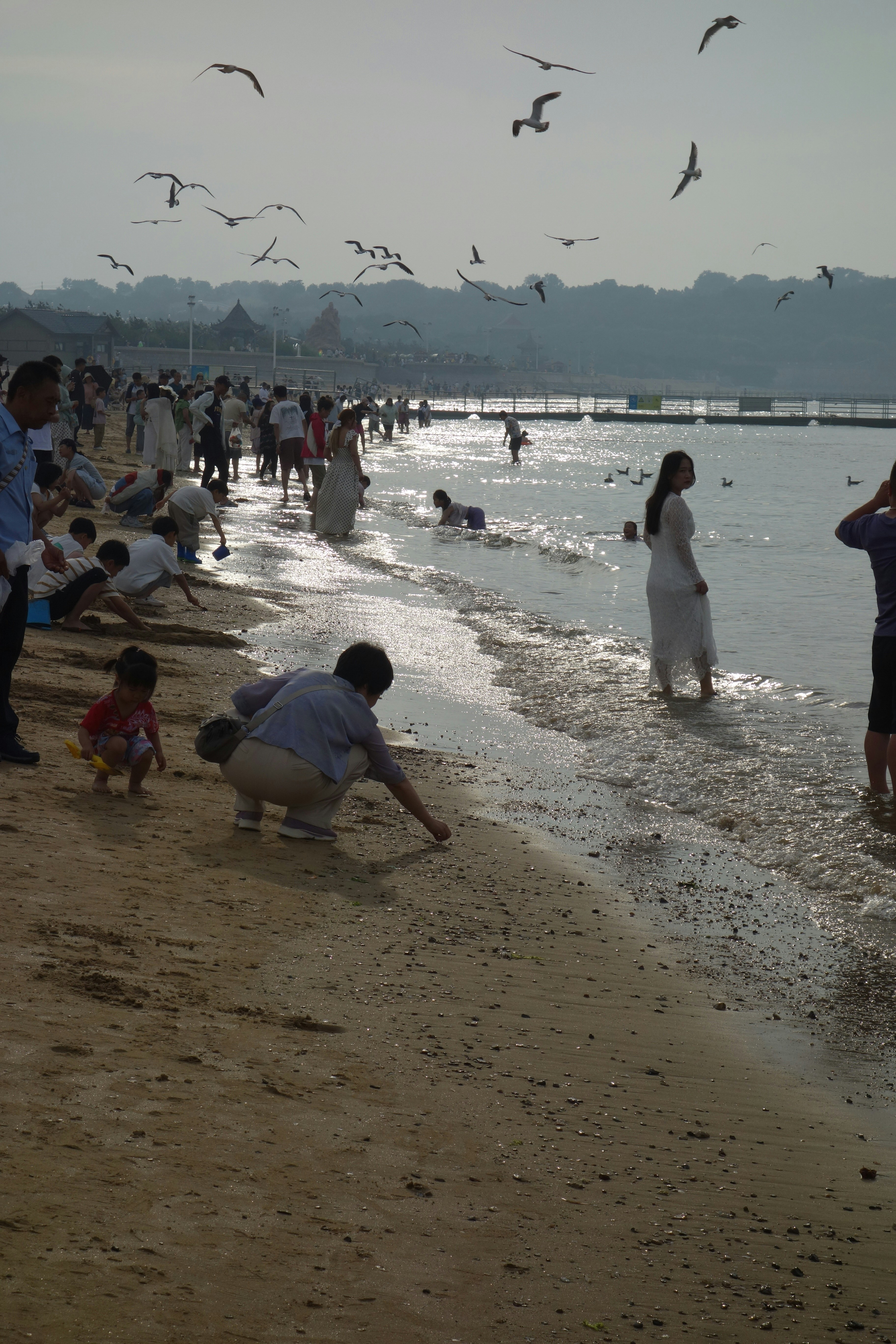 Sunlit shoreline vigil: families and seagulls along a busy beach