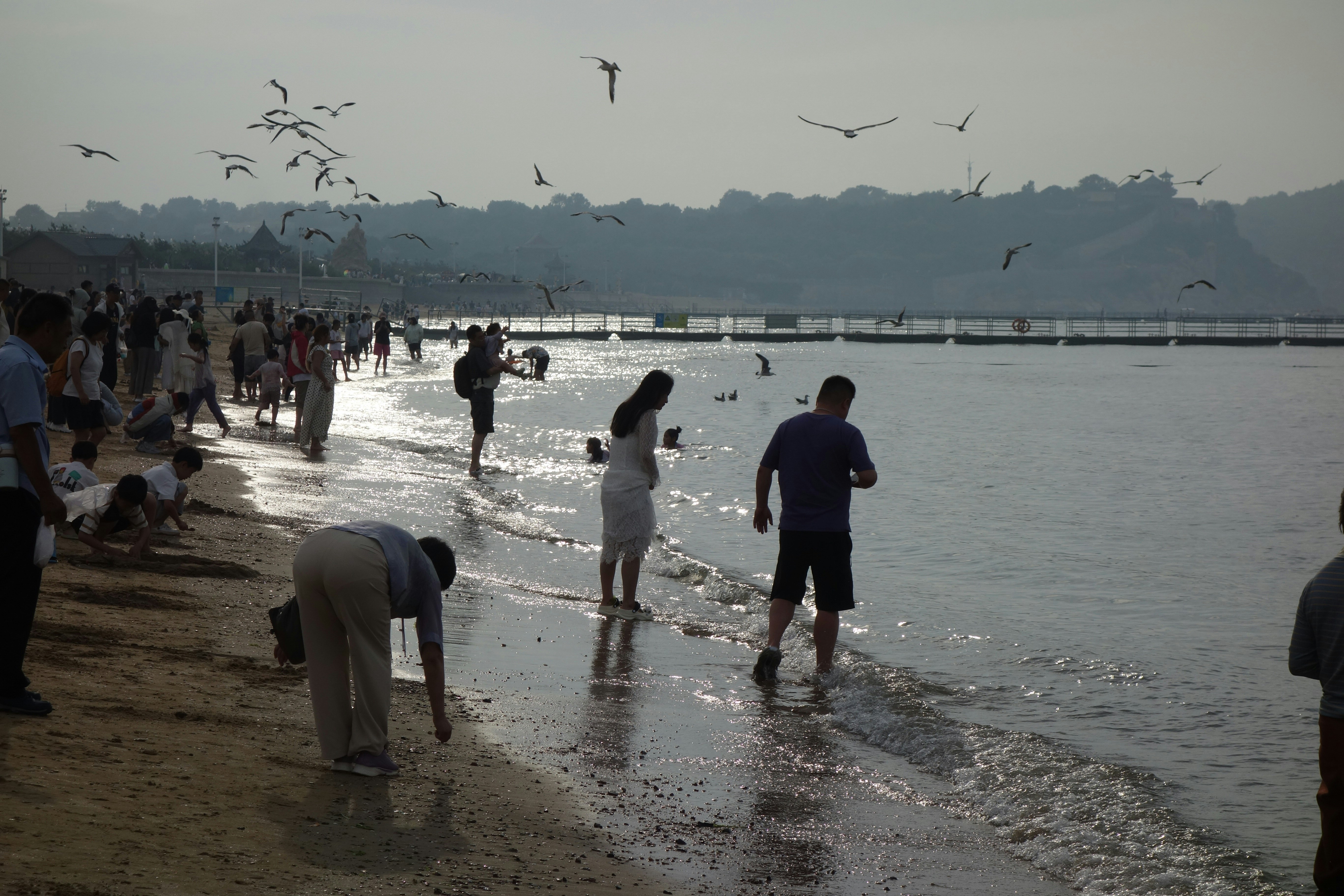 Sunlit Shoreline: People, Seawater, and Seagulls at Dusk
