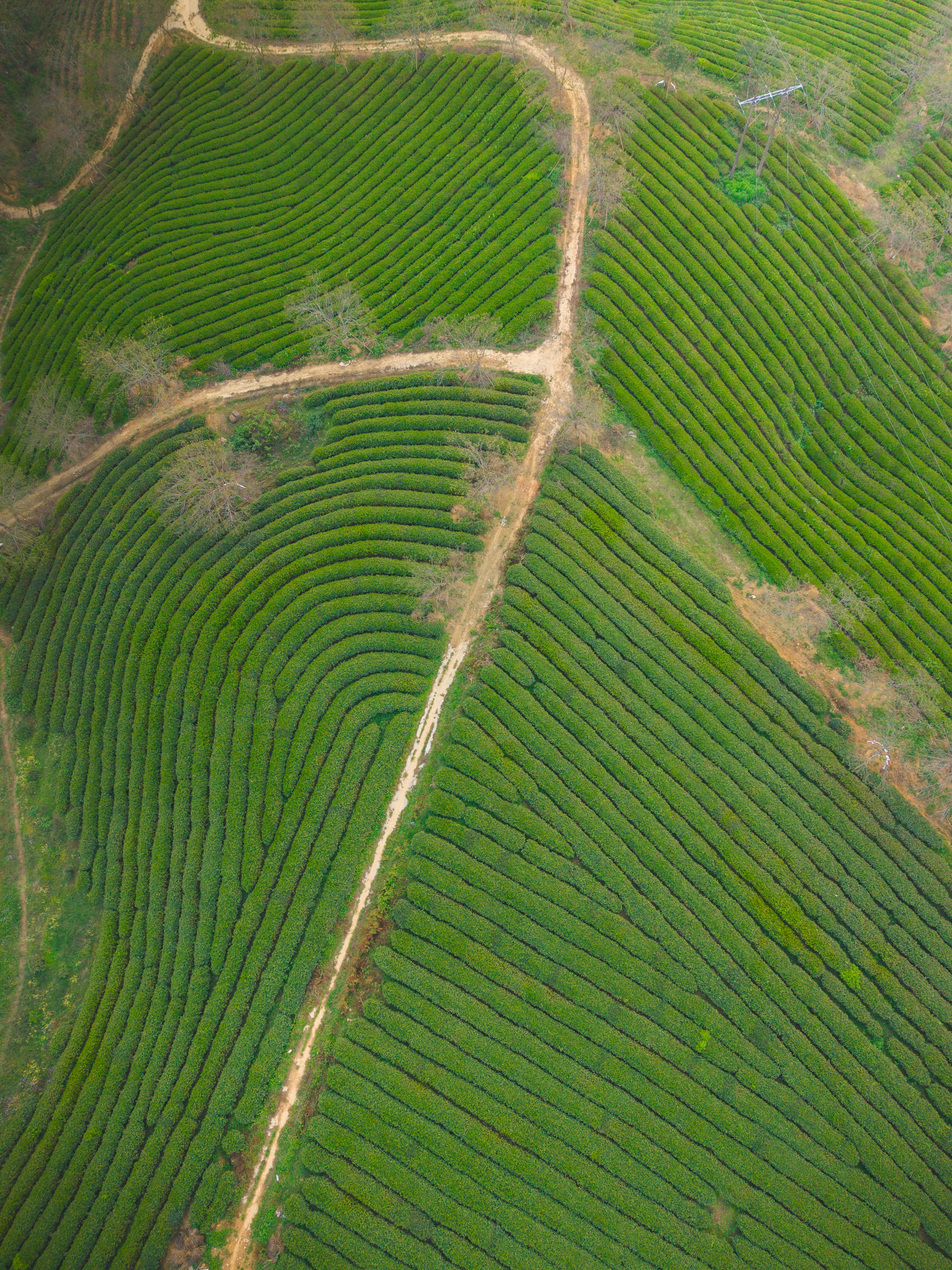 Verdant Crossroads: Aerial Lanes Through Terrazed Green Ridges
