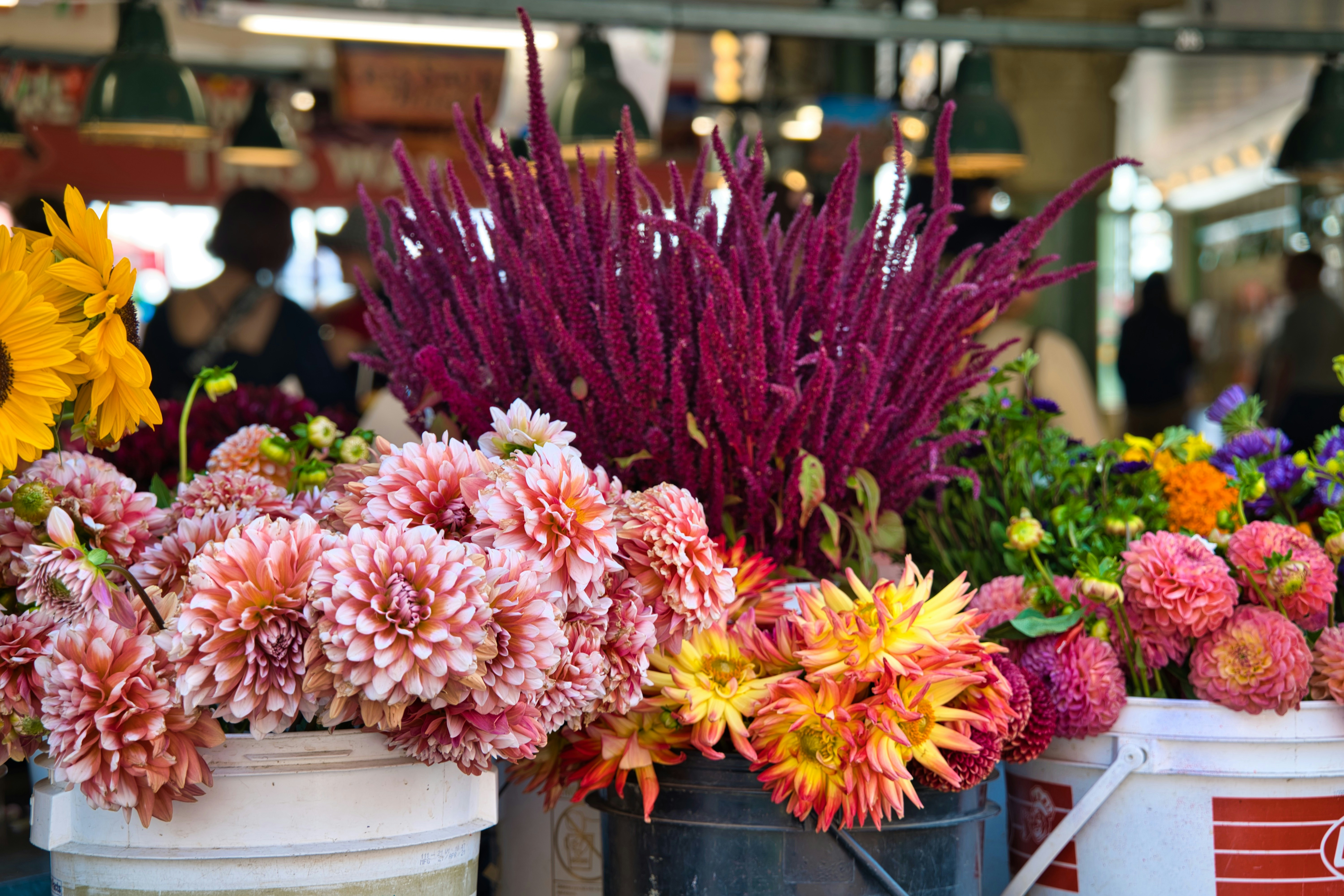 Bouquets in Bloom: Colorful Festoon of Petals at a Market Stall