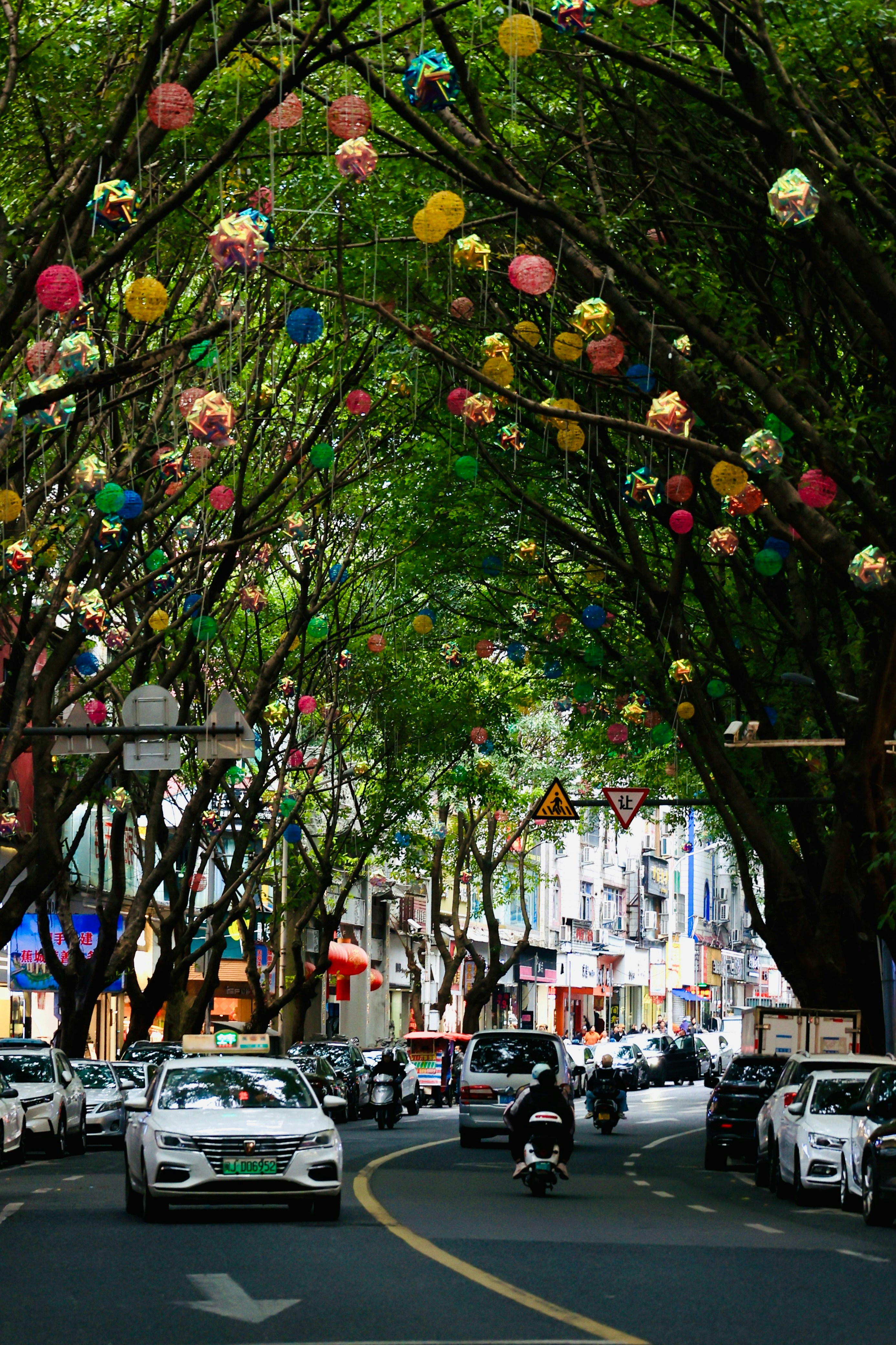 Street in Bloom: A Canopy of Lanterns Over a City Lane
