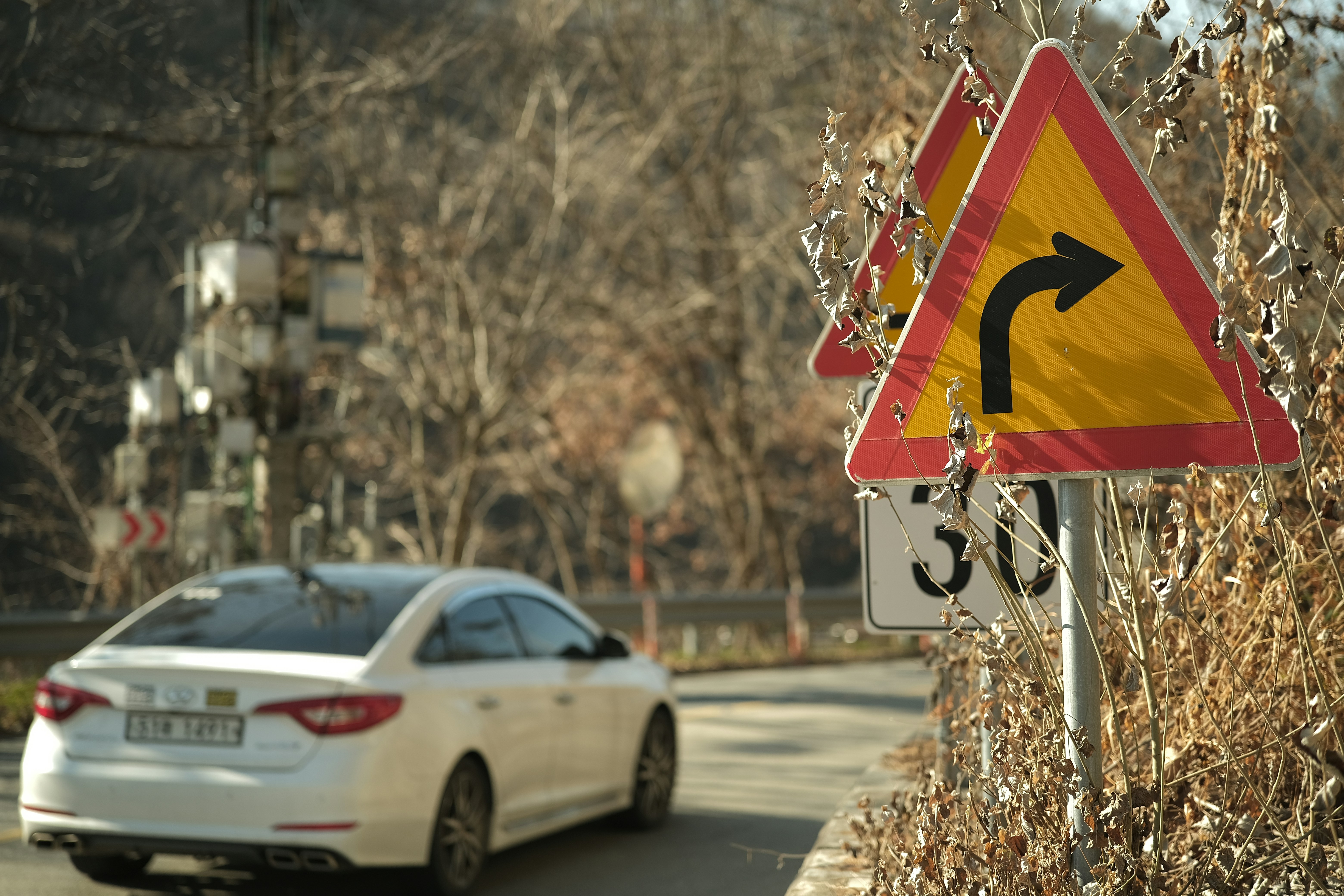 Parked Car and Roadwork Sign Amid Dry Winter Grass