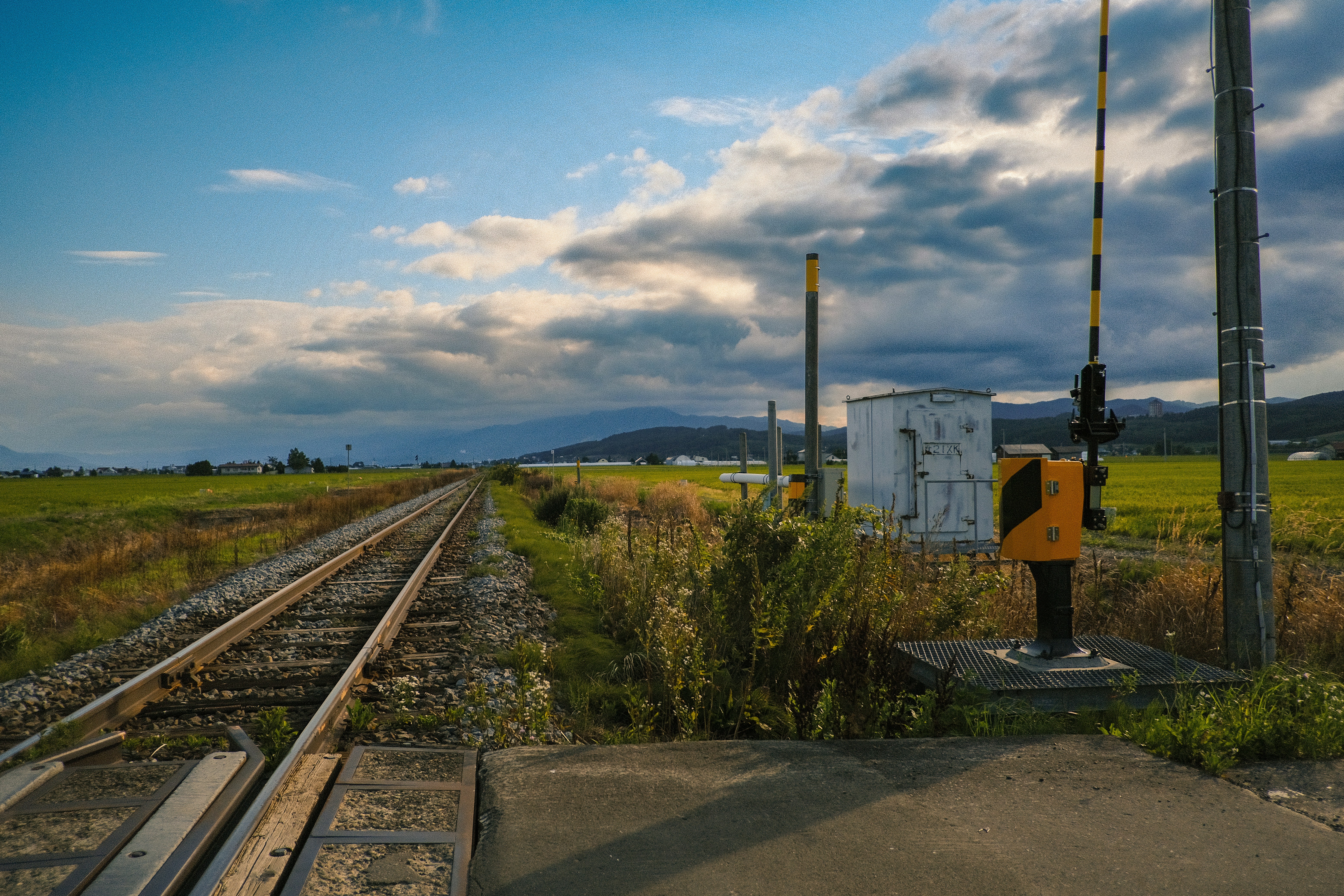Tracks to the Open Horizon: A Quiet Rural Crossing