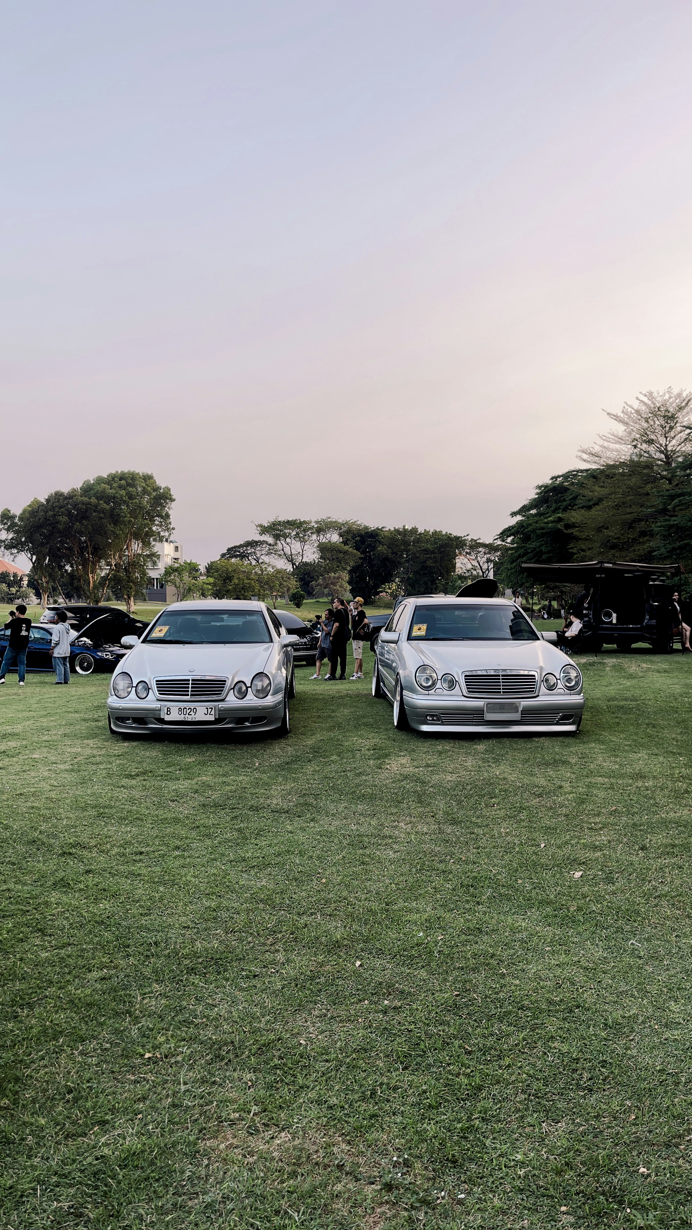 Twin Silver Sedans on a Quiet Park Lawn