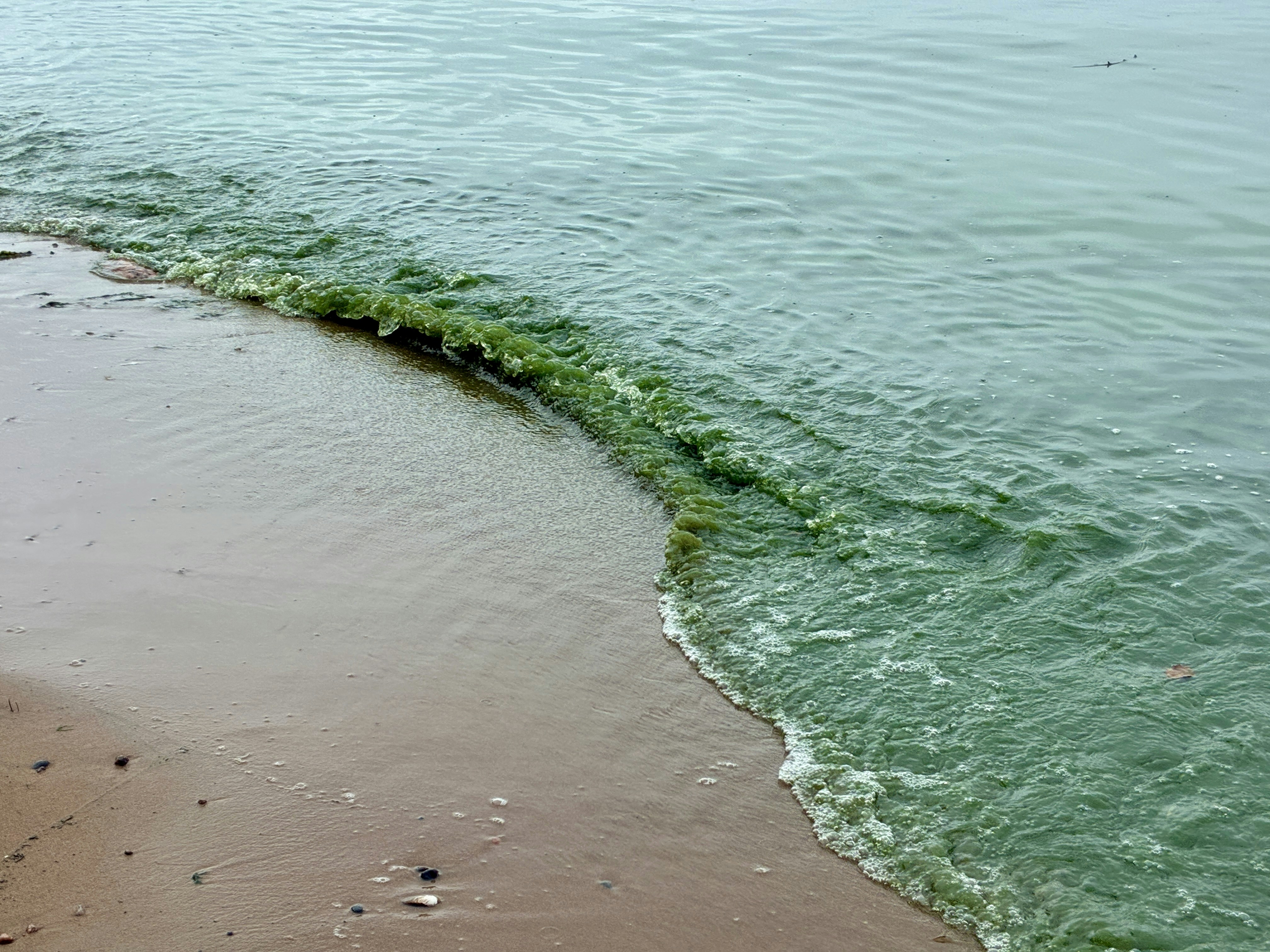 Curved shoreline meeting turquoise surf at a quiet beach