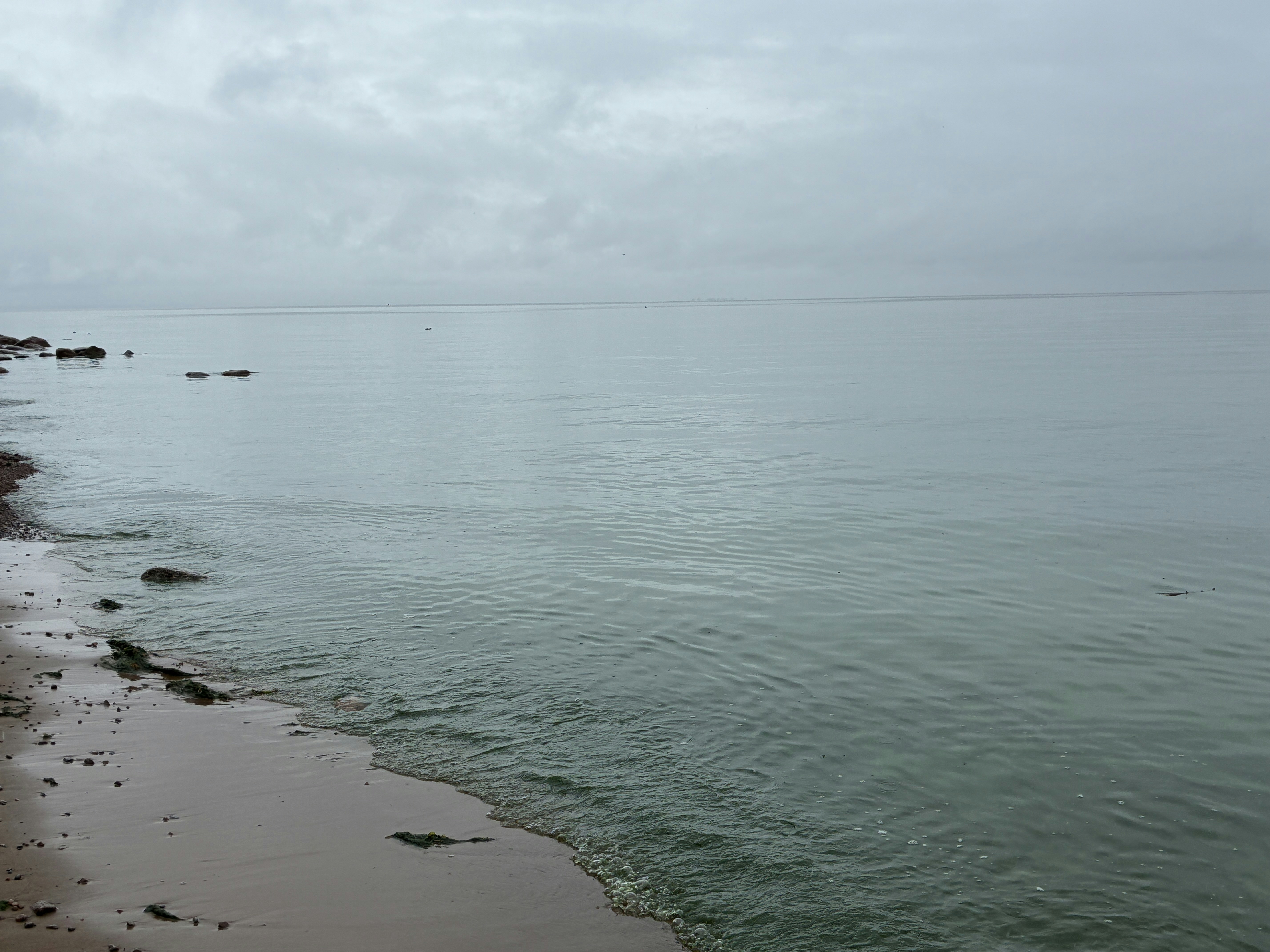Calm Horizon: A Quiet Shore Embraced by Gentle Sea