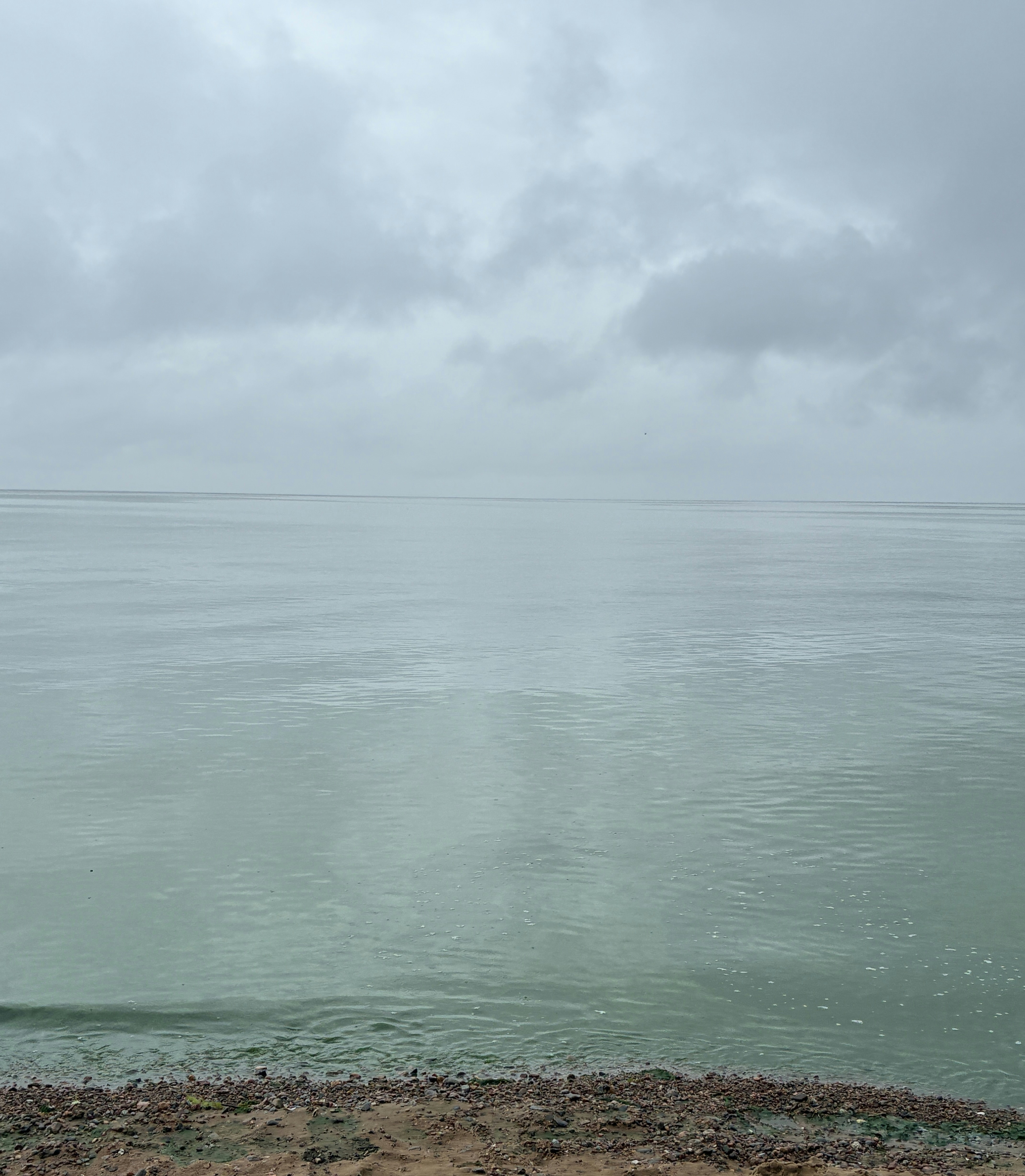 Calm Shore, Quiet Horizon
