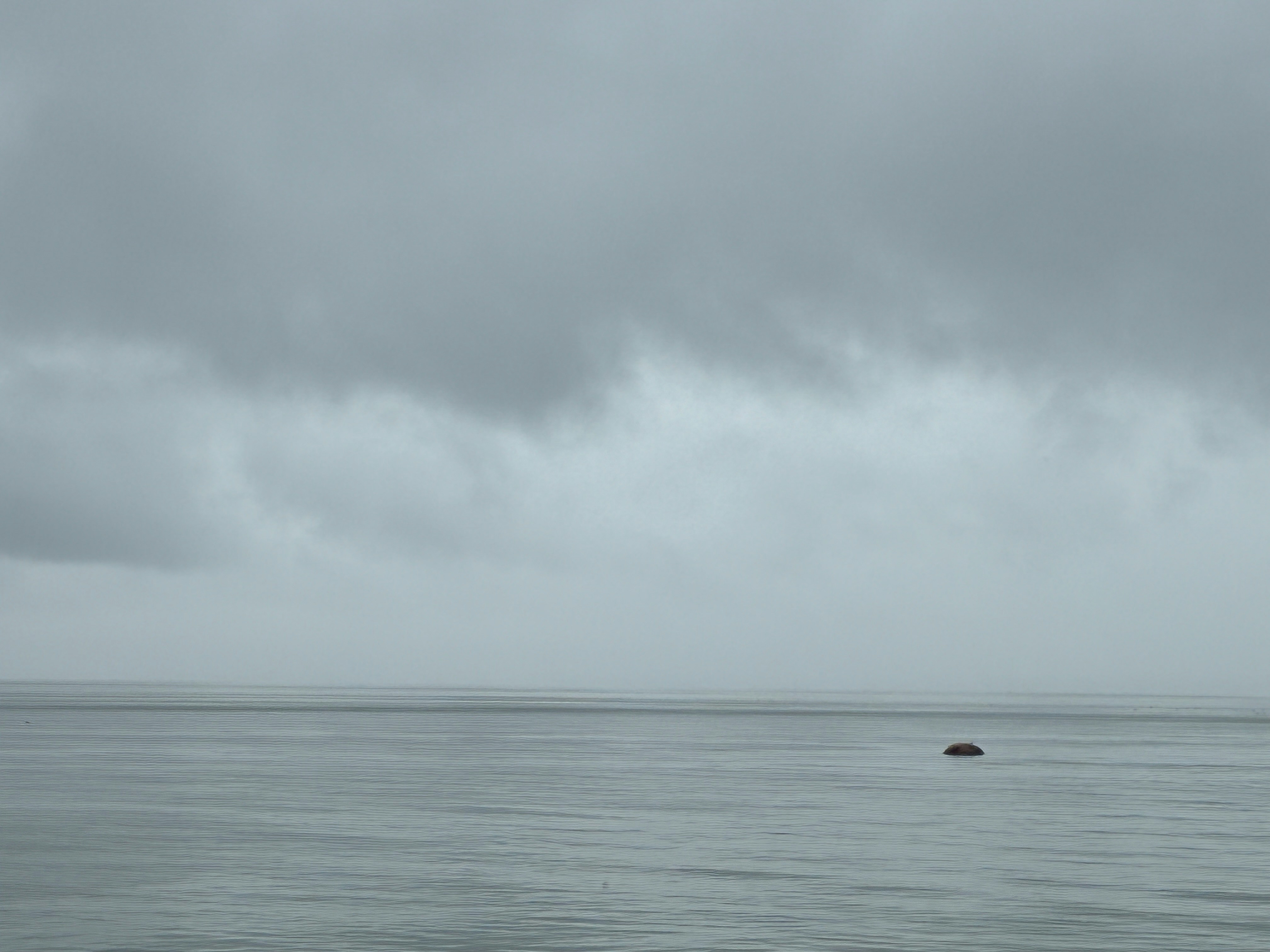 Overcast Sea: A Lone Rock Anchored in Quiet Gray
