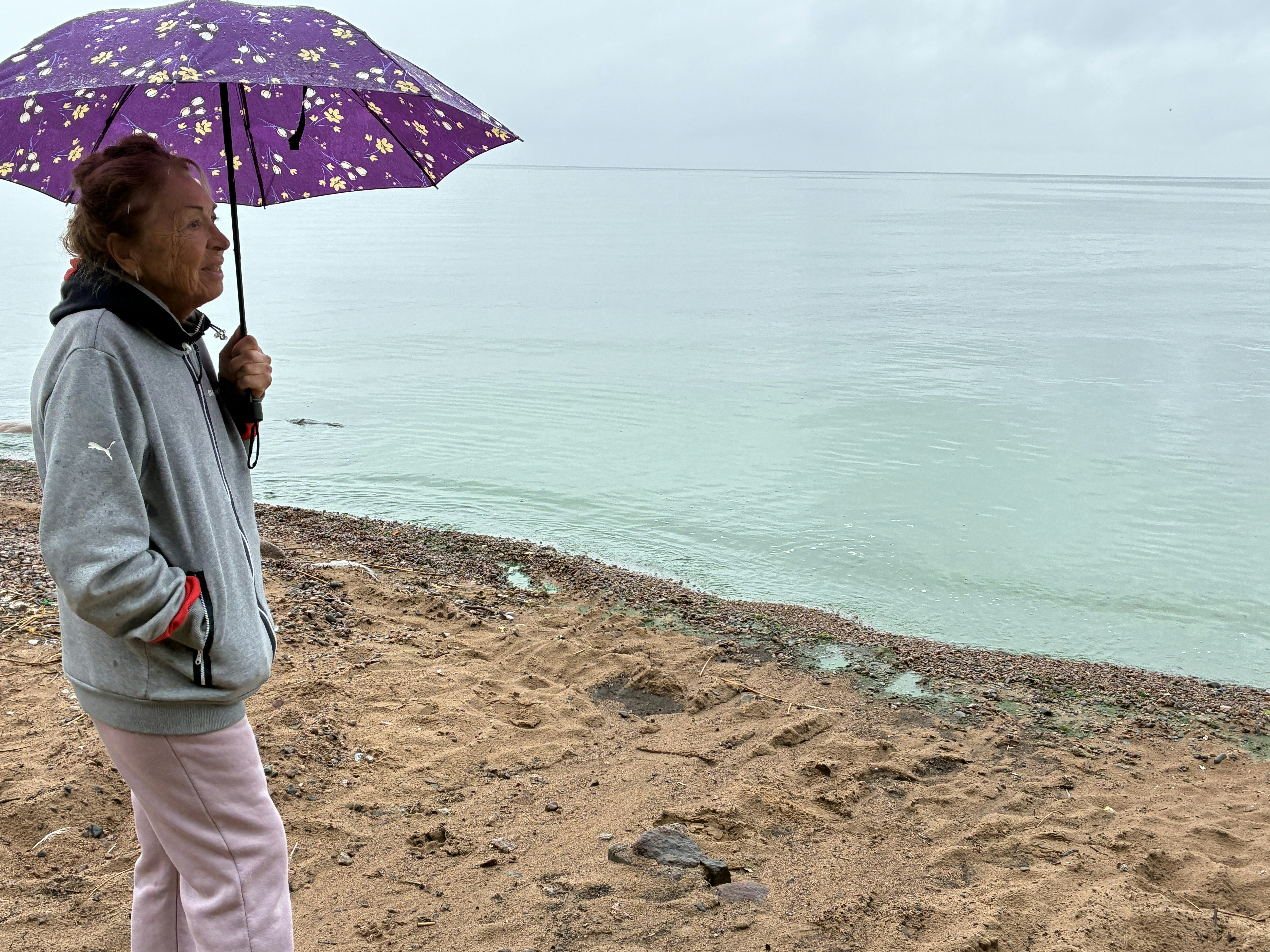 Umbrella at the Shore: Quiet Moment by the Water