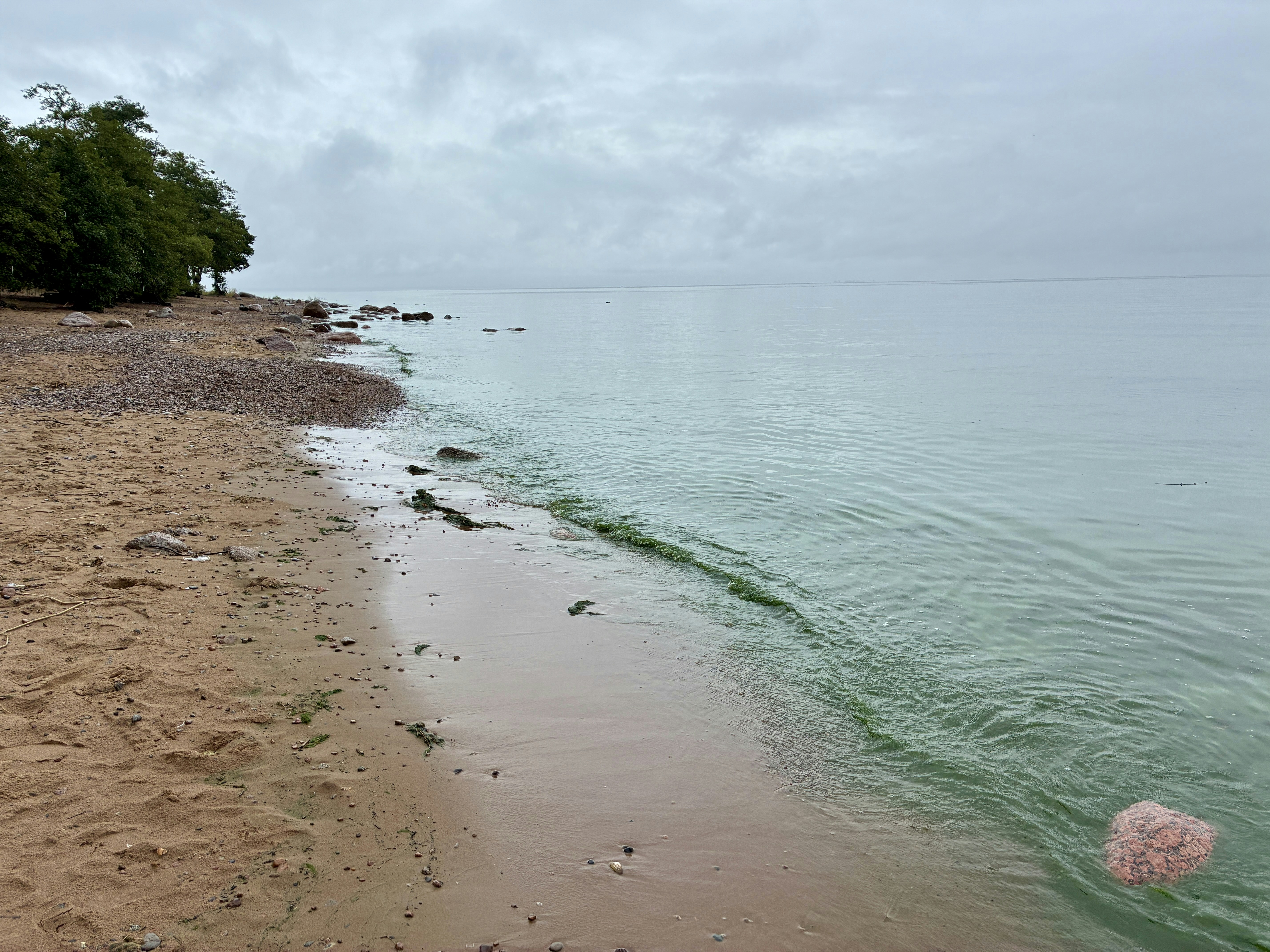 Shoreline Quiet: A Gentle Convergence of Sand and Sea