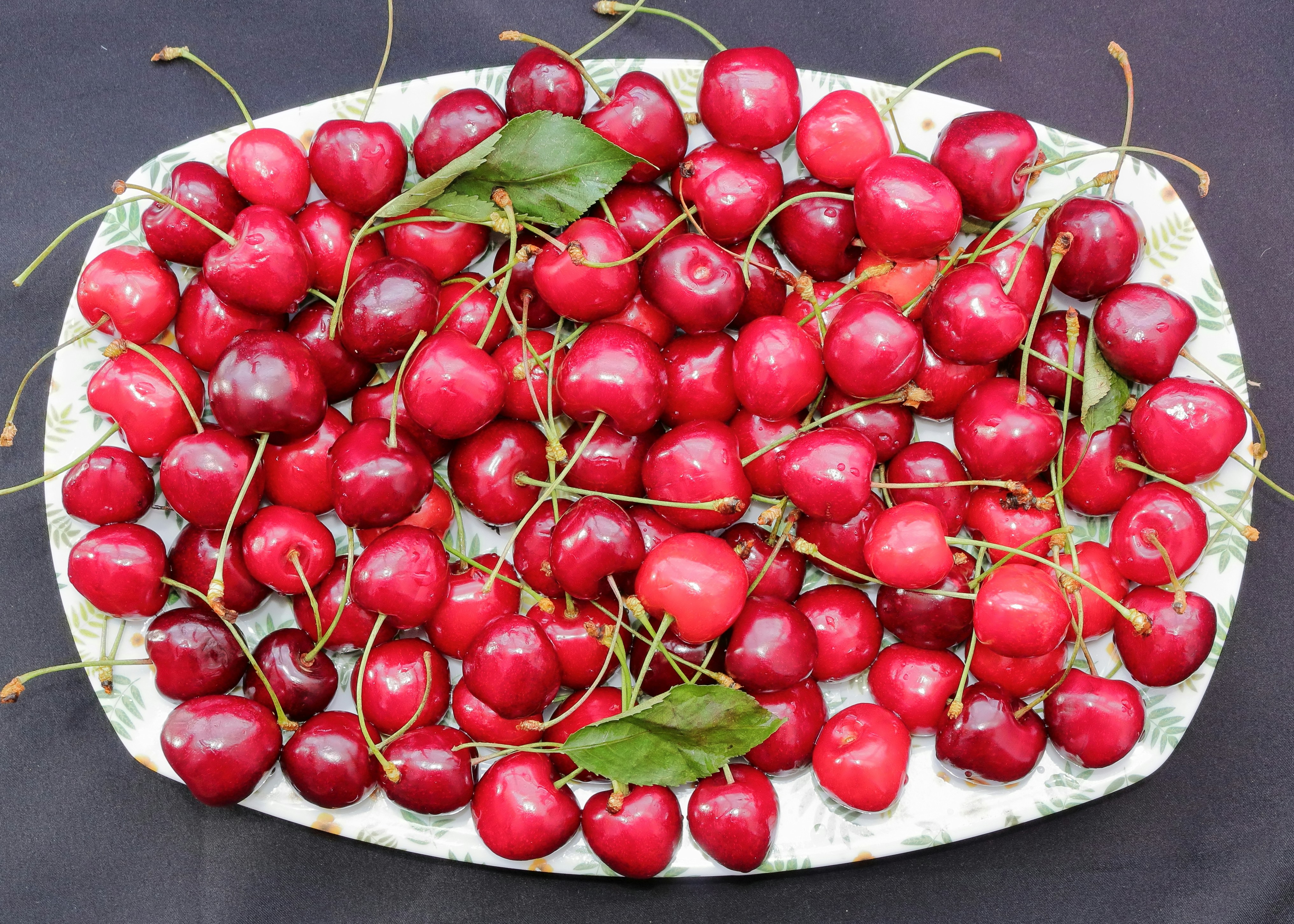 Scarlet Harvest: A Plateful of Cherries on a Dark Slate