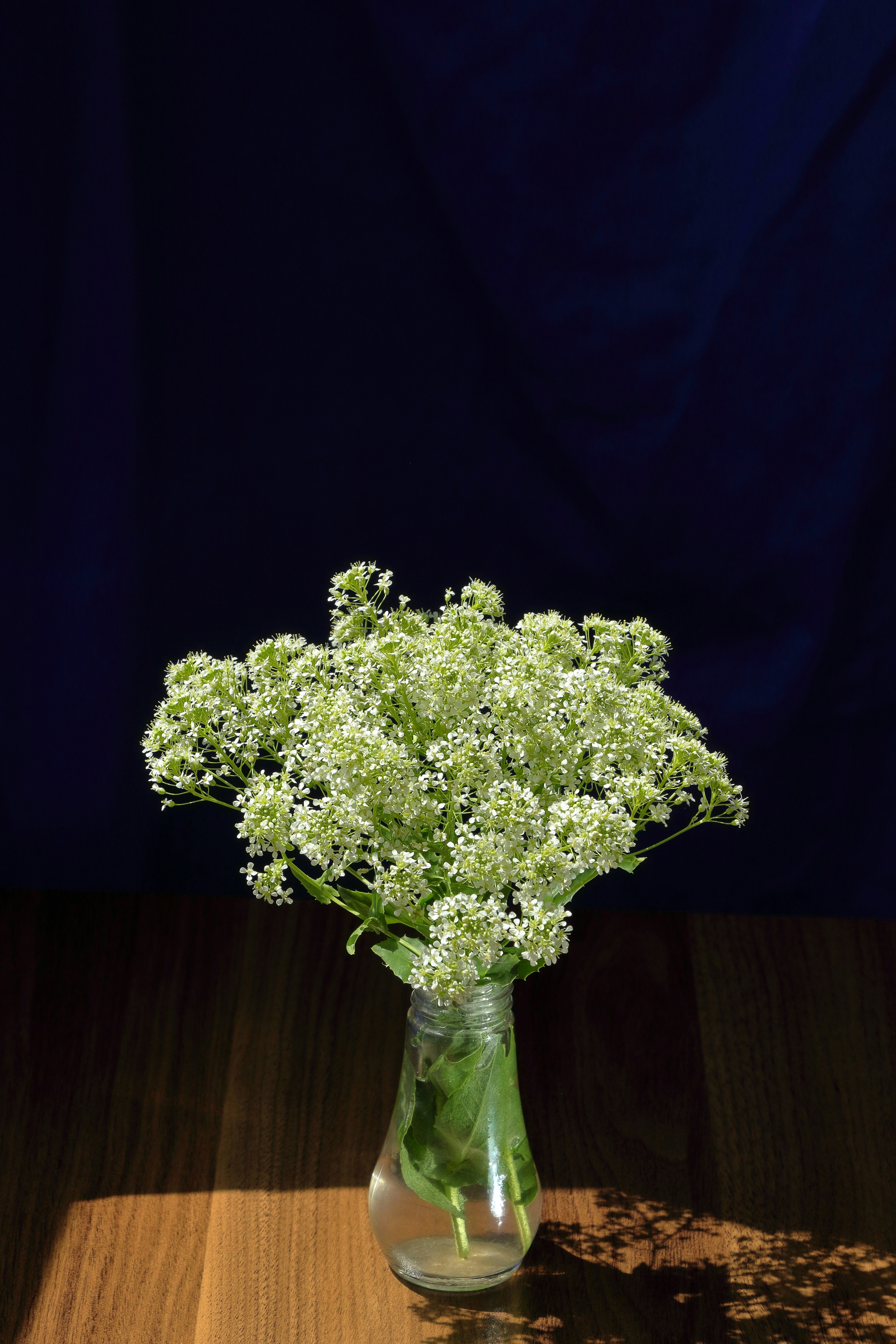 White Queen in a Vase: Baby’s Breath Bloom on a Wooden Stage