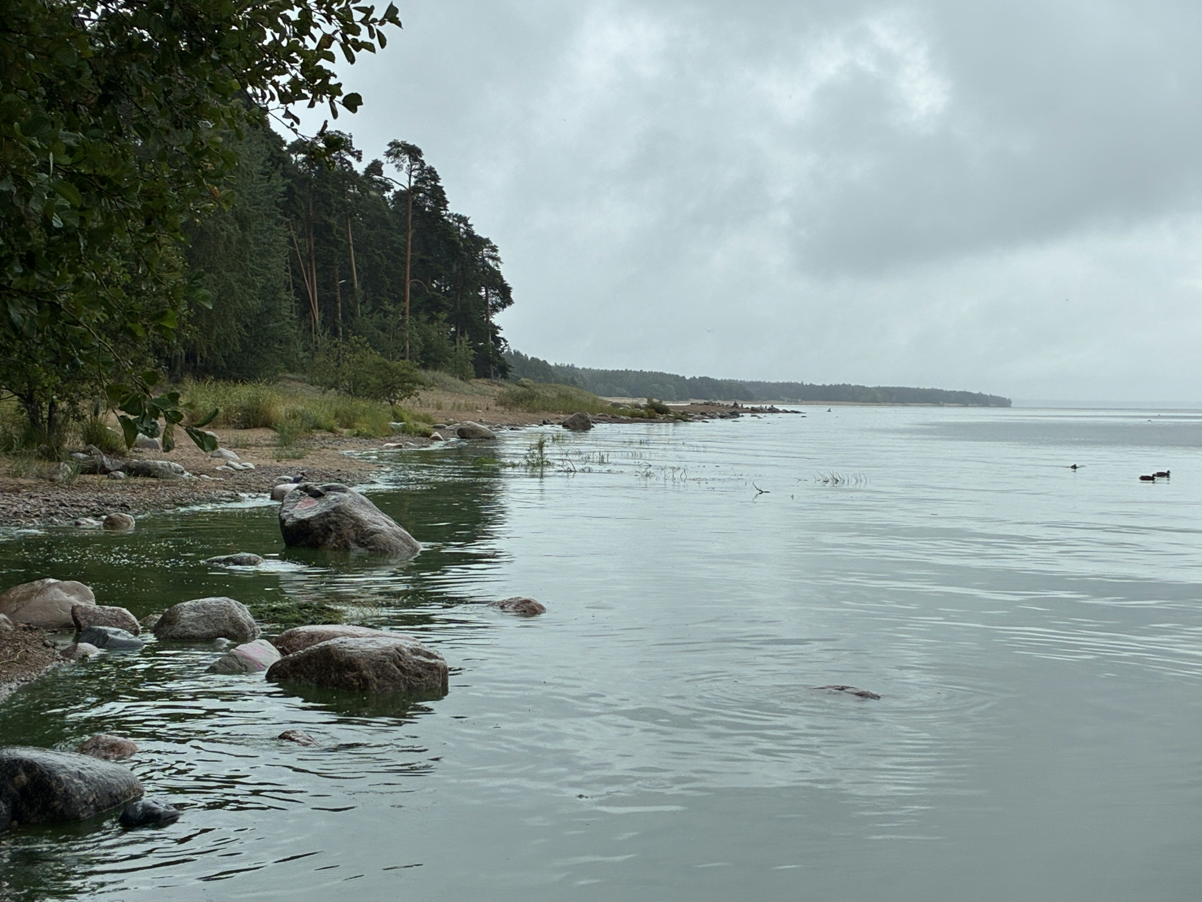 Along the Quiet Coastal Edge