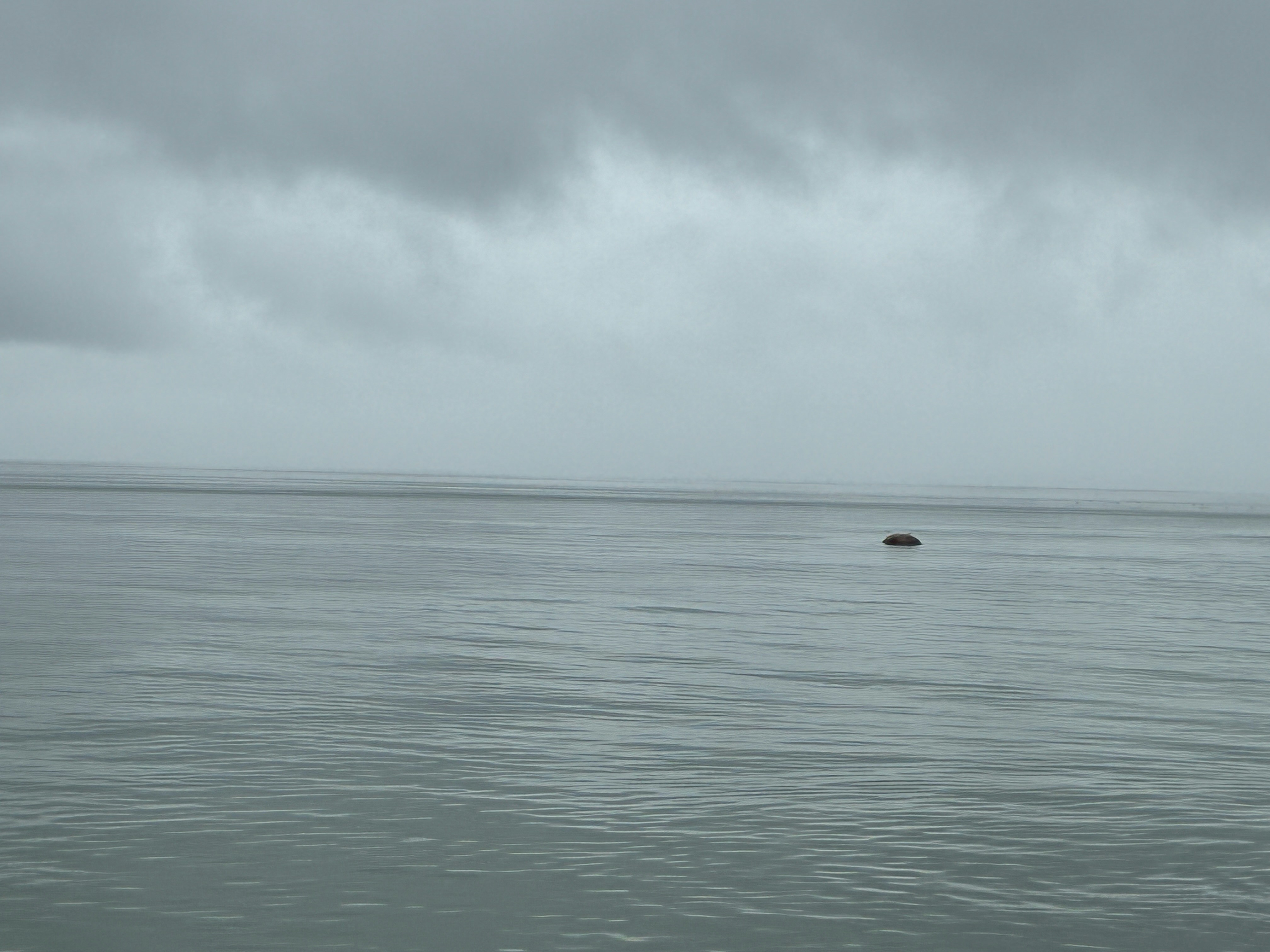 Horizon Drift: Quiet Sea Under Clouded Sky