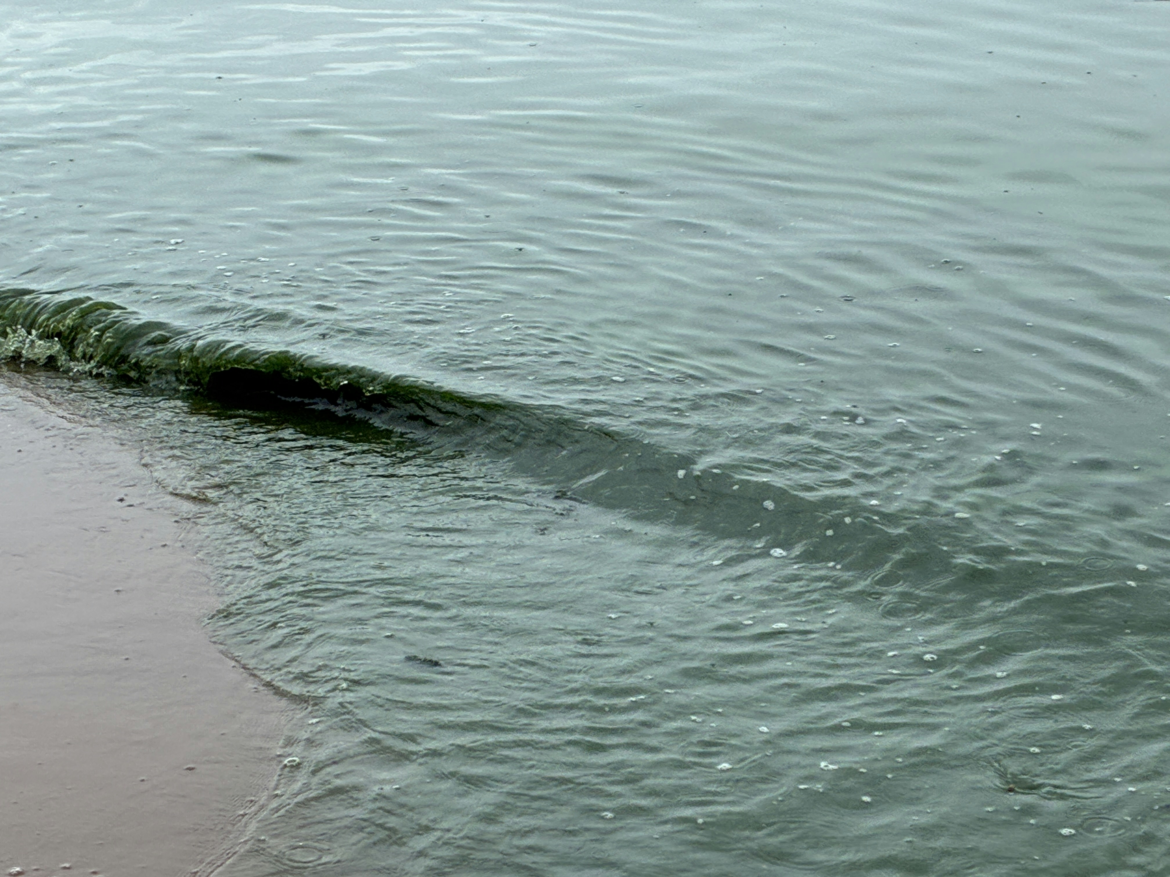 A Quiet Shoreline: Gentle Green Wake Lapping the Sand