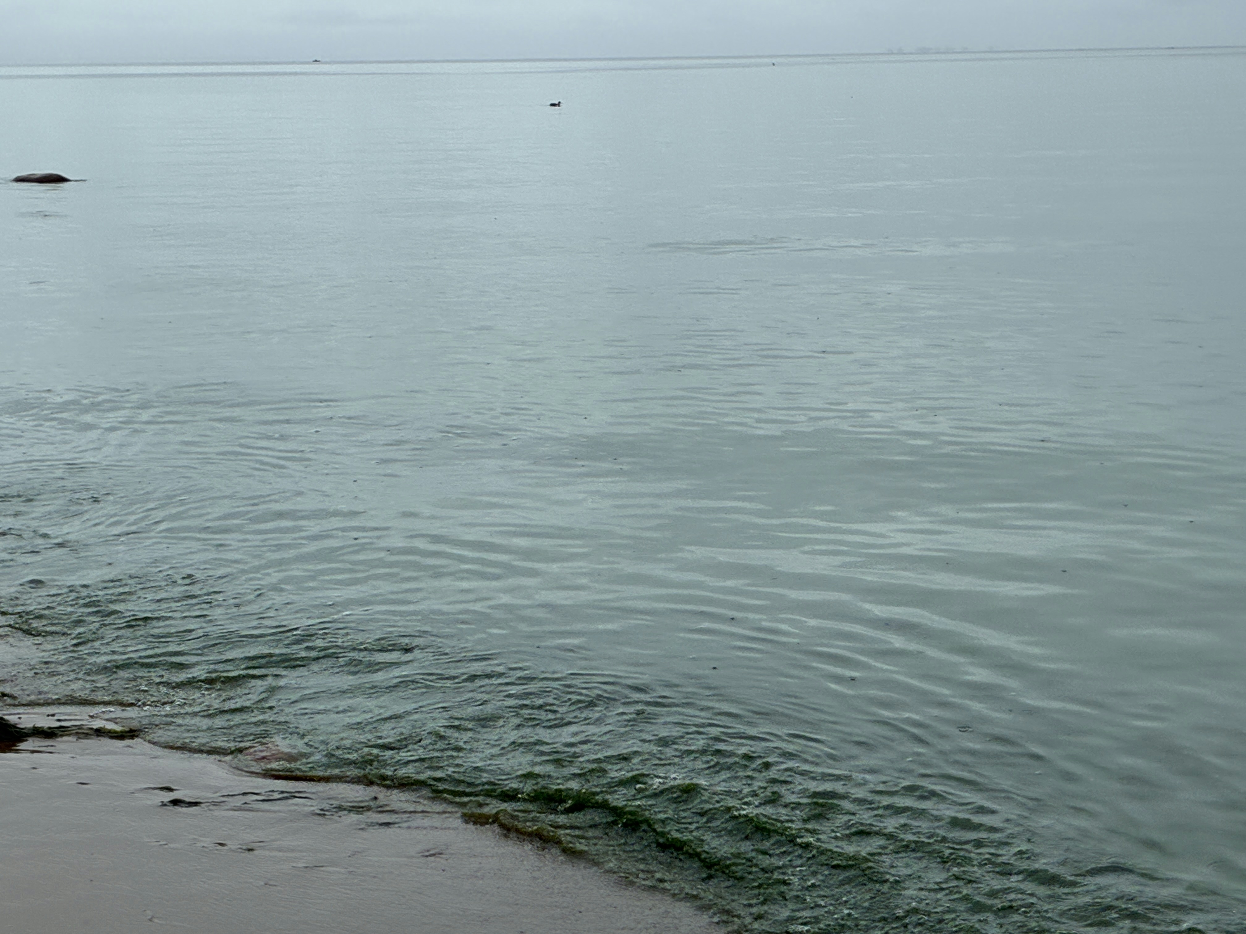 Calm Shoreline Extent at Dusk