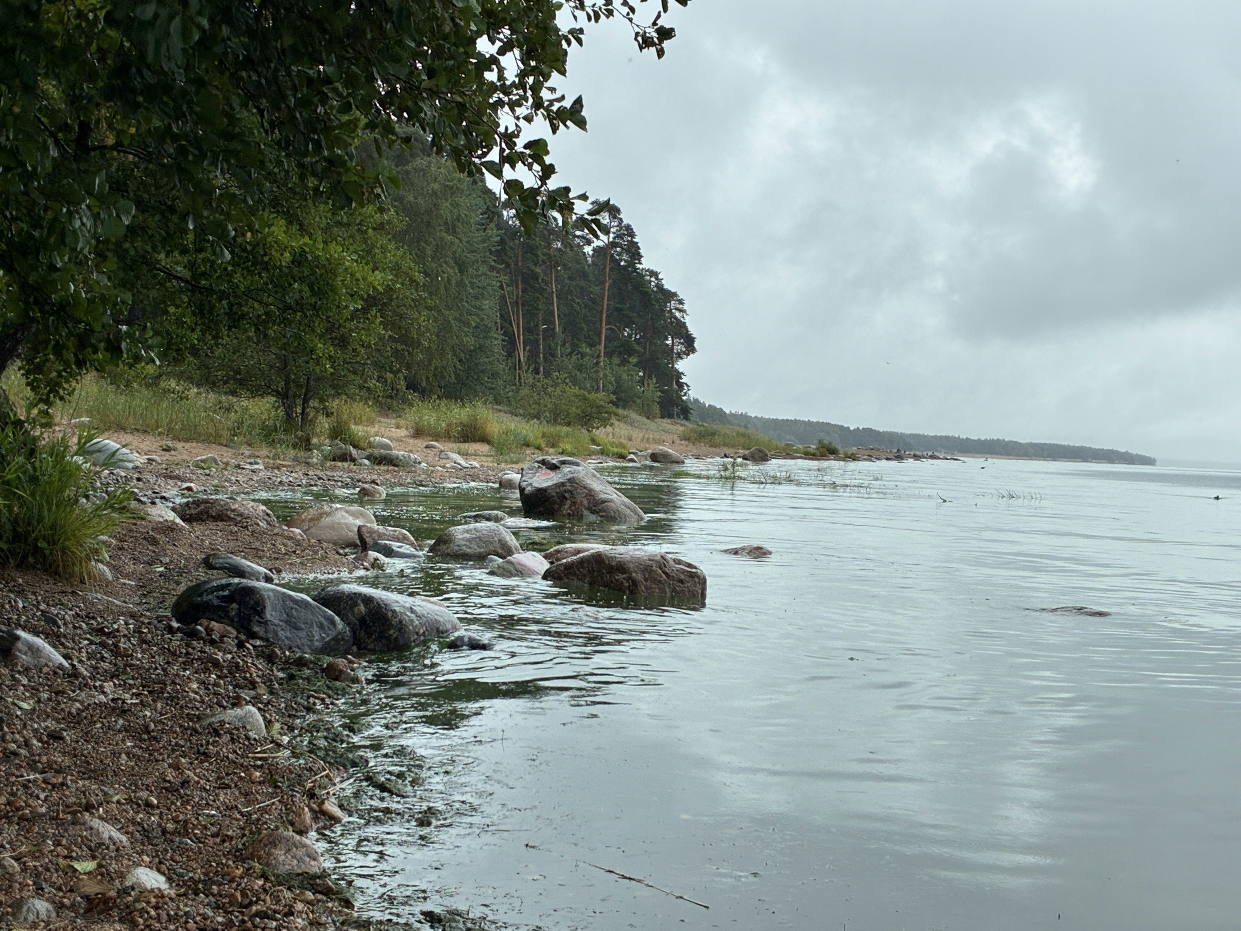 Pebble-strewn shoreline fading into calm horizon