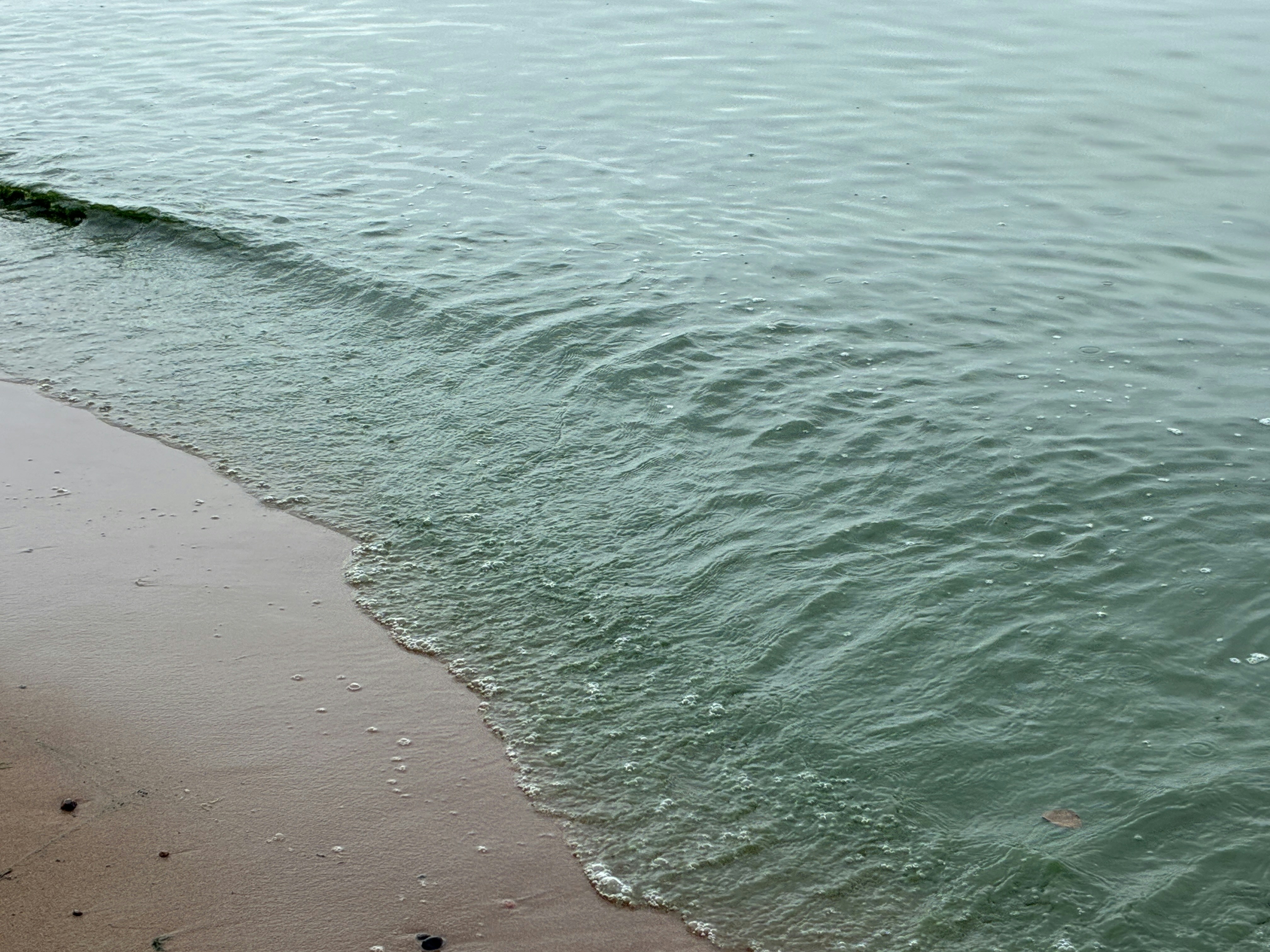 Shoreline Gradient: Turquoise Water Meets Quiet Sand