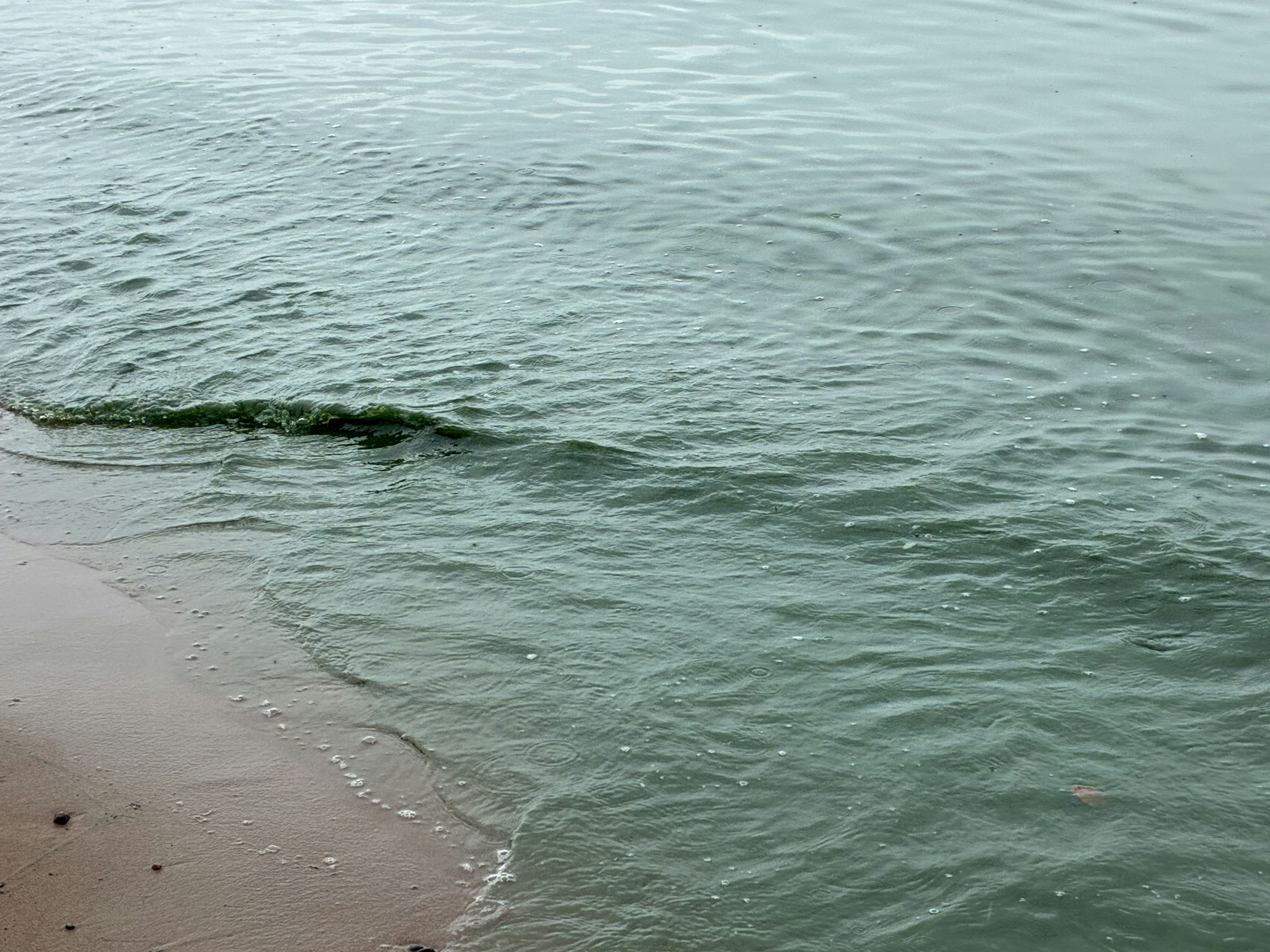 Quiet shoreline at dawn: turquoise water meeting sandy beach