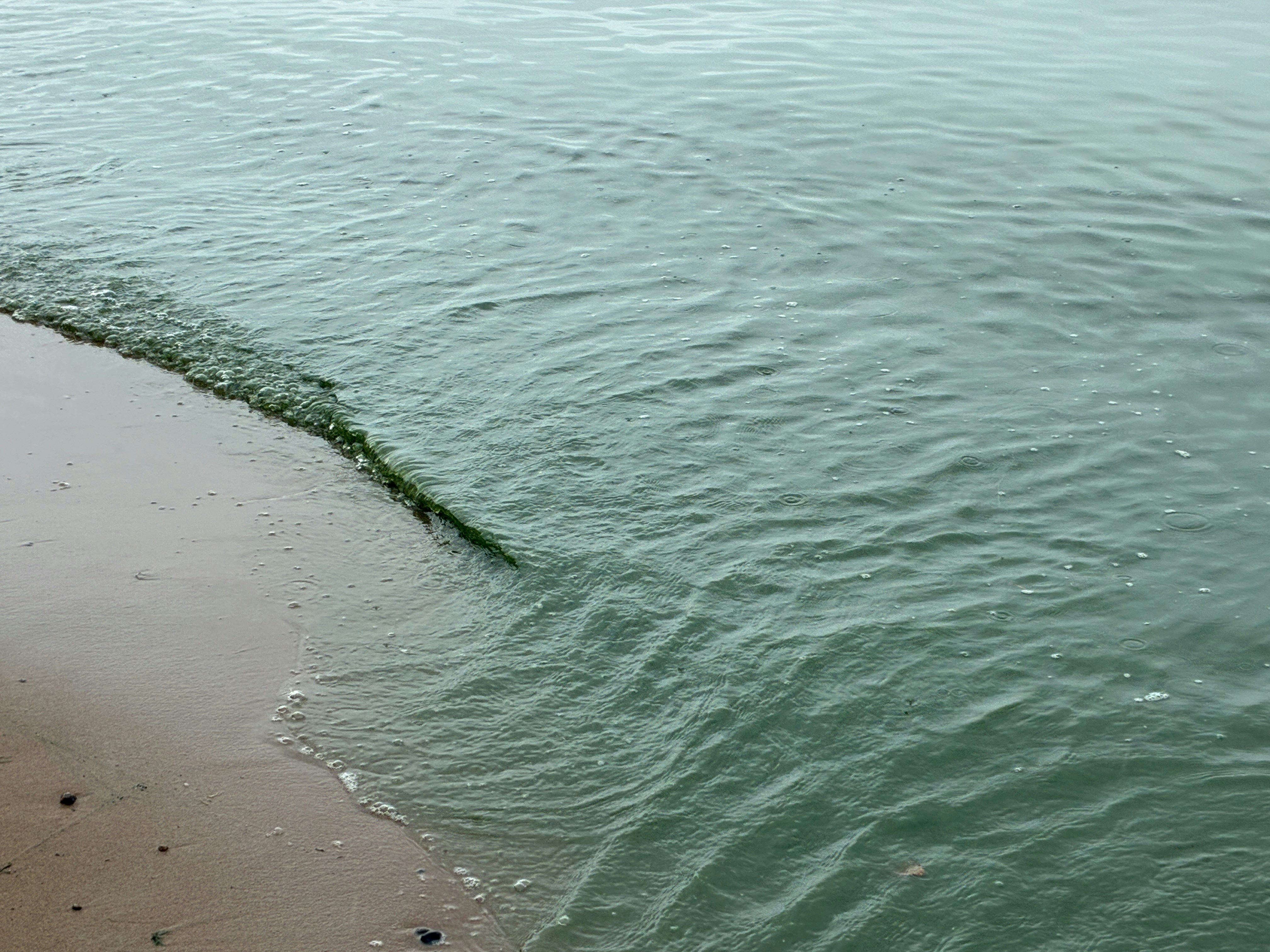 Calm Shoreline Gradient: Sand meets Sea