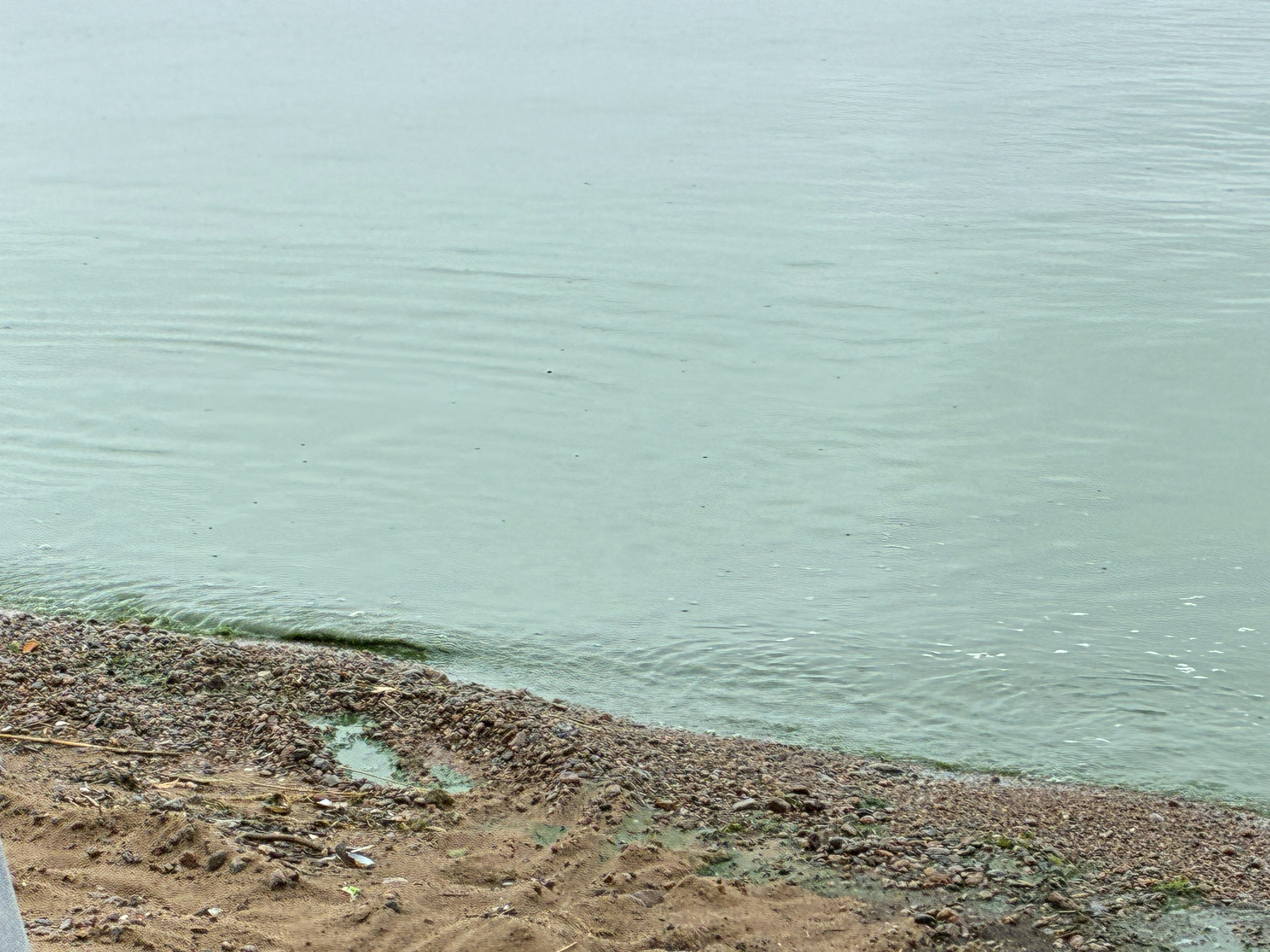 Shoreline Palette: Turquoise Tide at Dusk