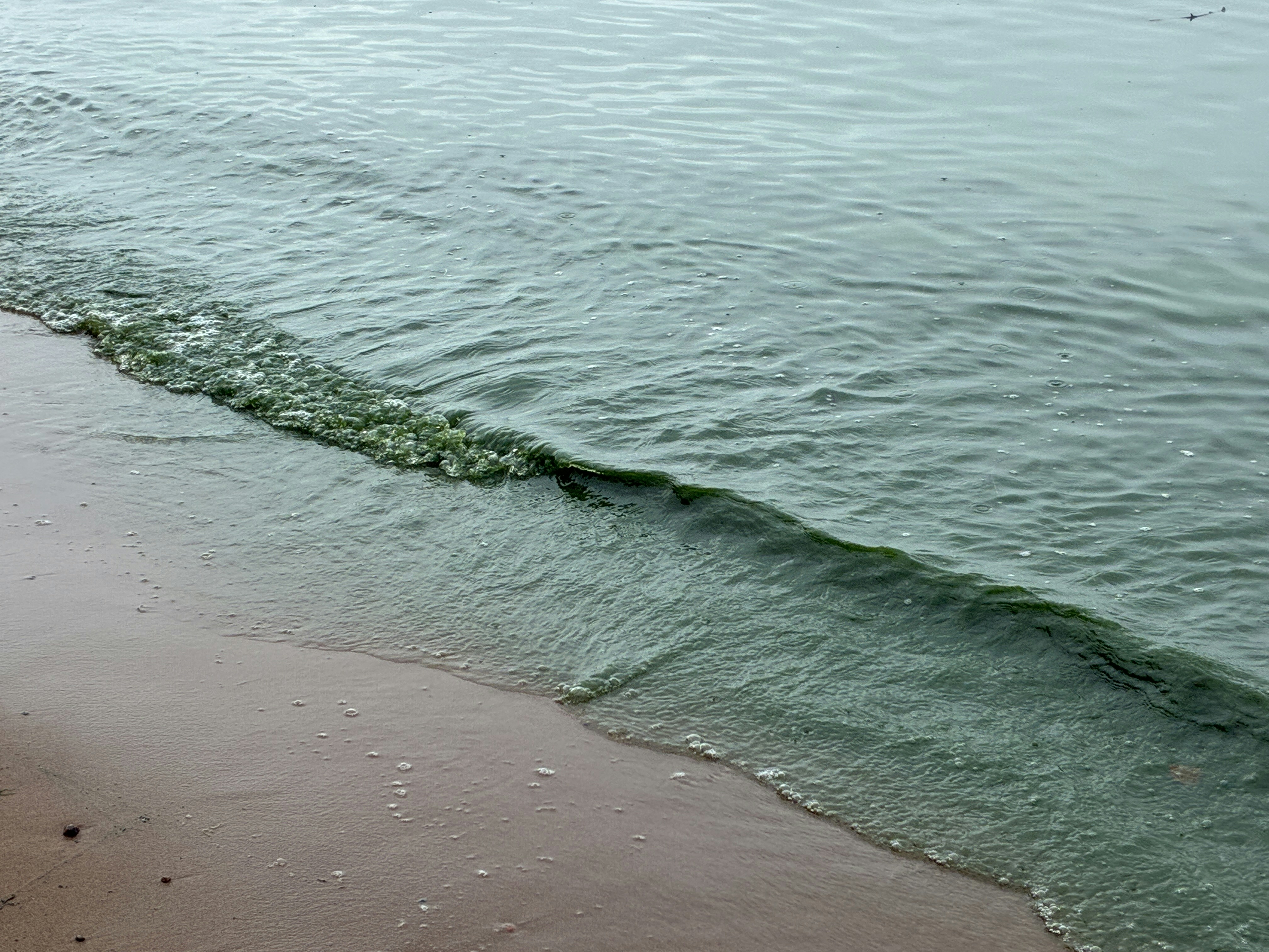 Gentle Coastal Line: A Quiet Beach Edge