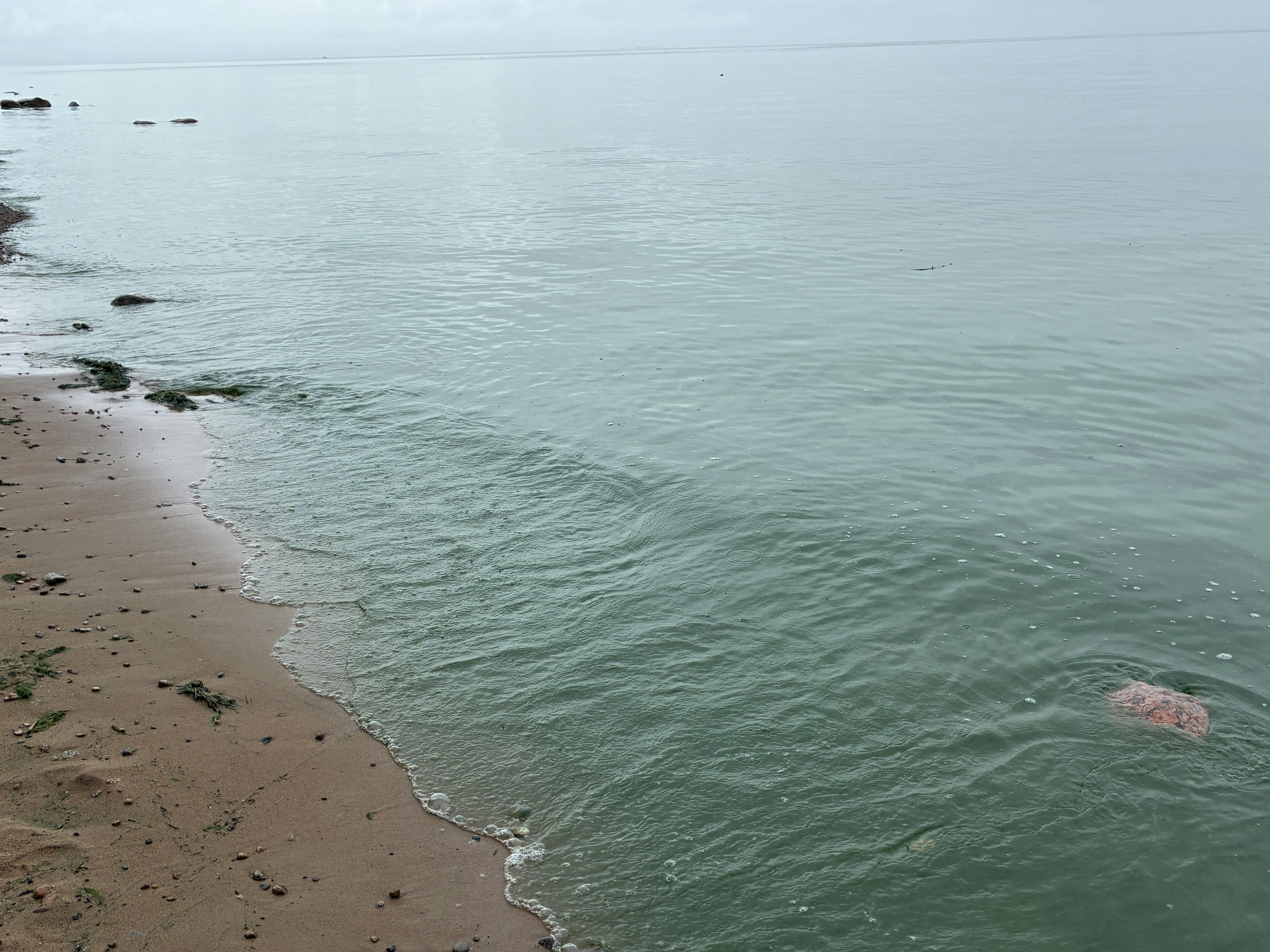 Gentle shoreline under a calm, glassy sea