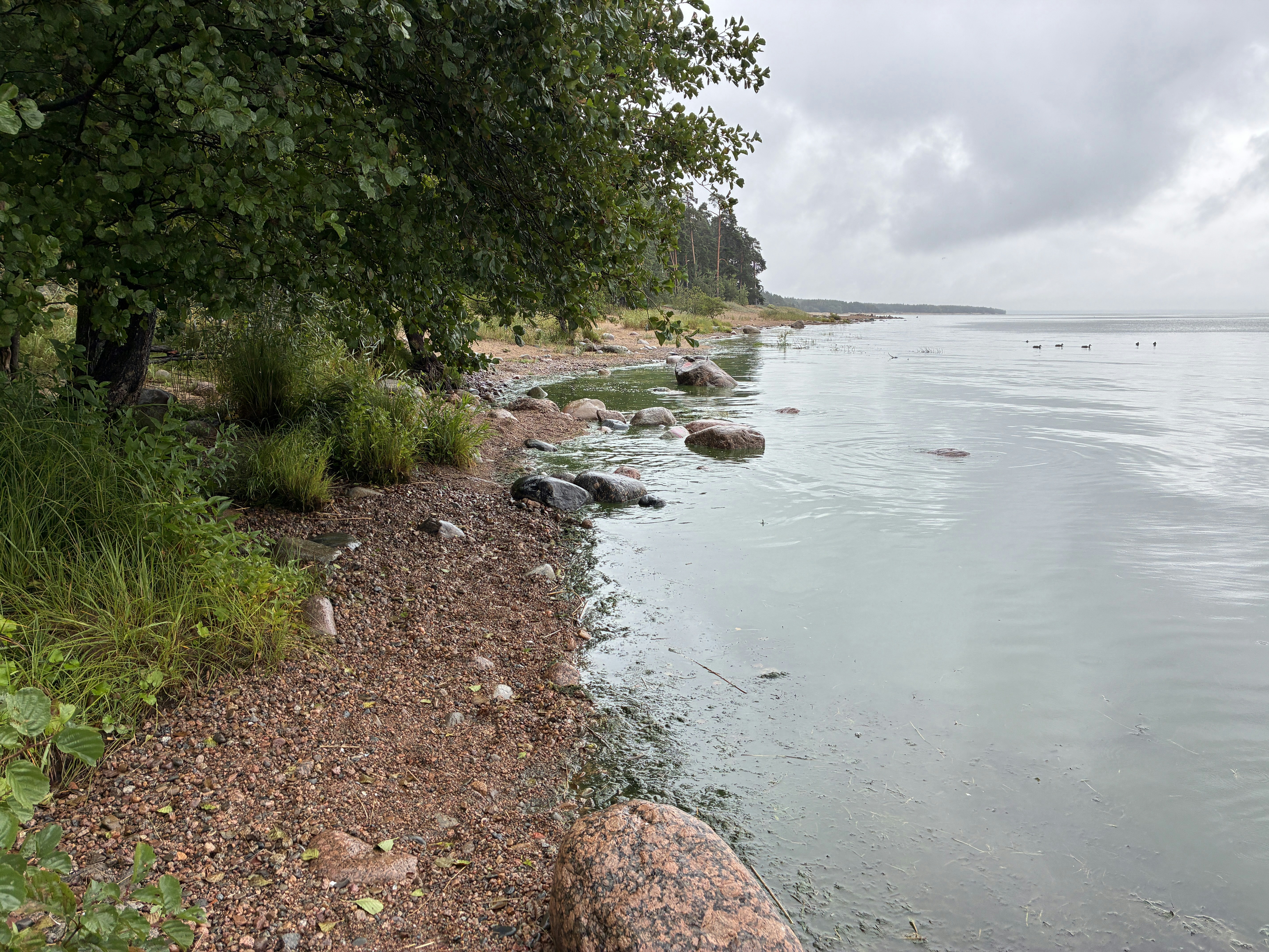 Rugged Pebble Shoreline Meeting a Calm Inland Sea